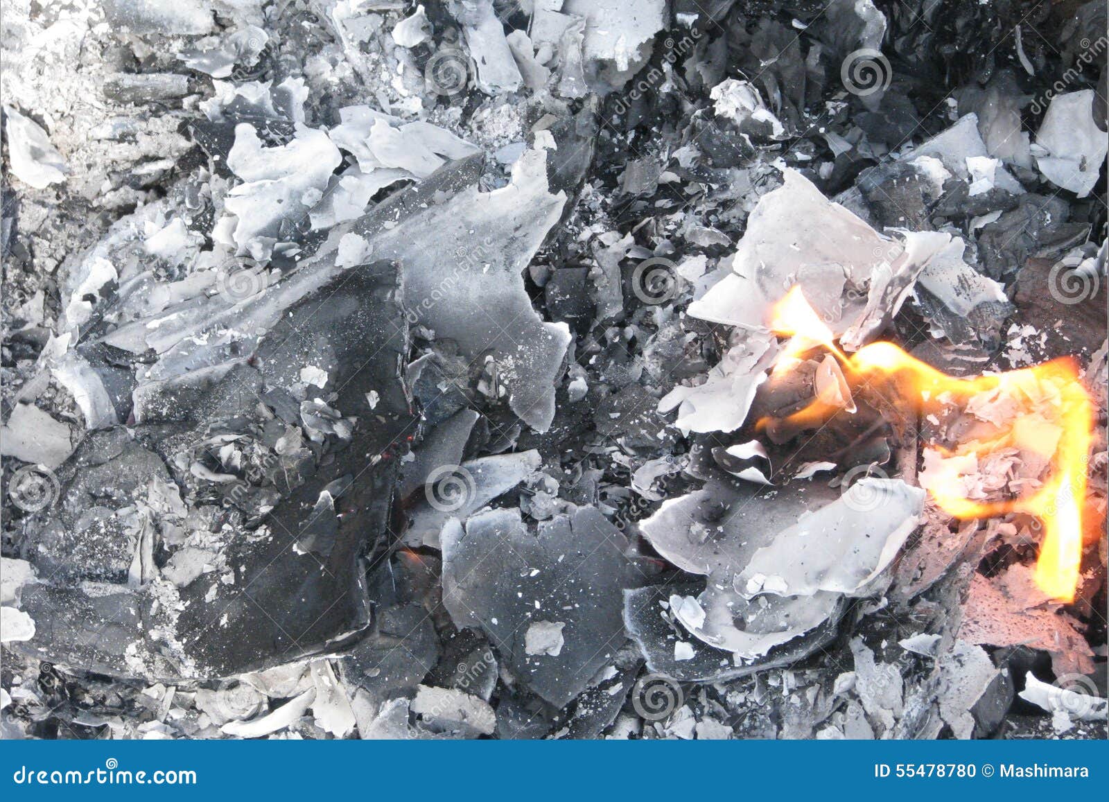 Ashes stock photo. Image of cinders, paper, fire, burning - 55478780