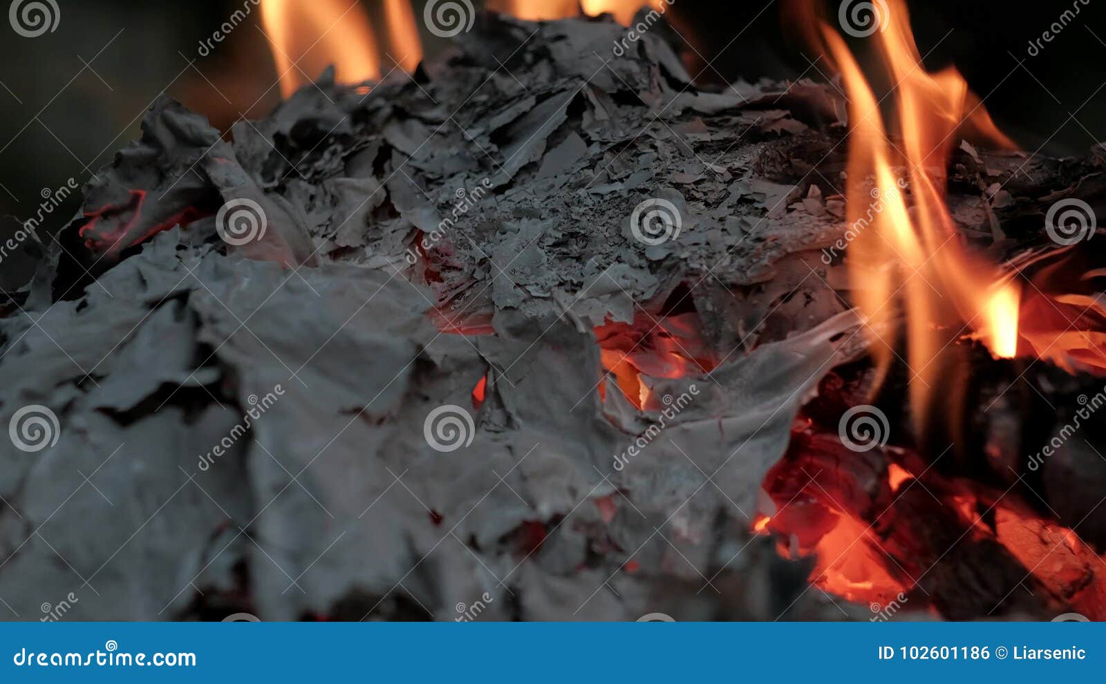 Ashes of burned paper. stock footage. Video of fuel - 102601186