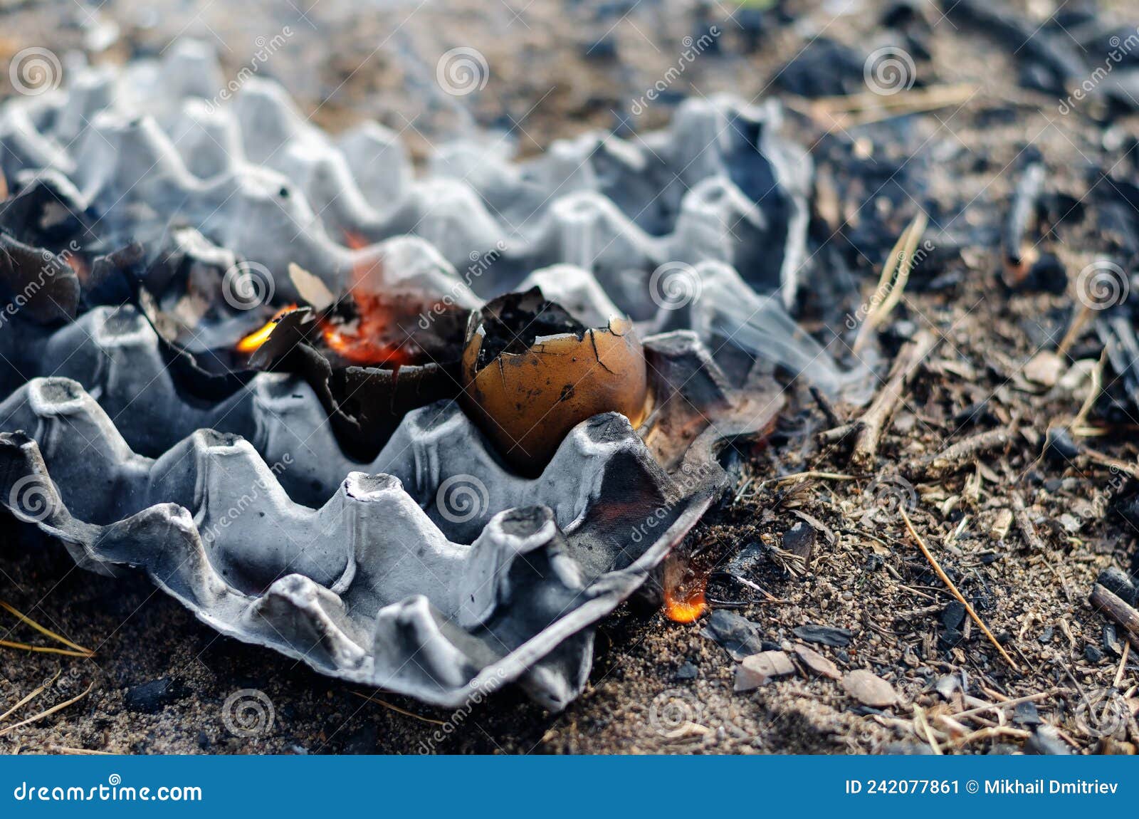 Ashes from a Burnt Egg Tray and Chicken Shells Stock Image - Image of ...