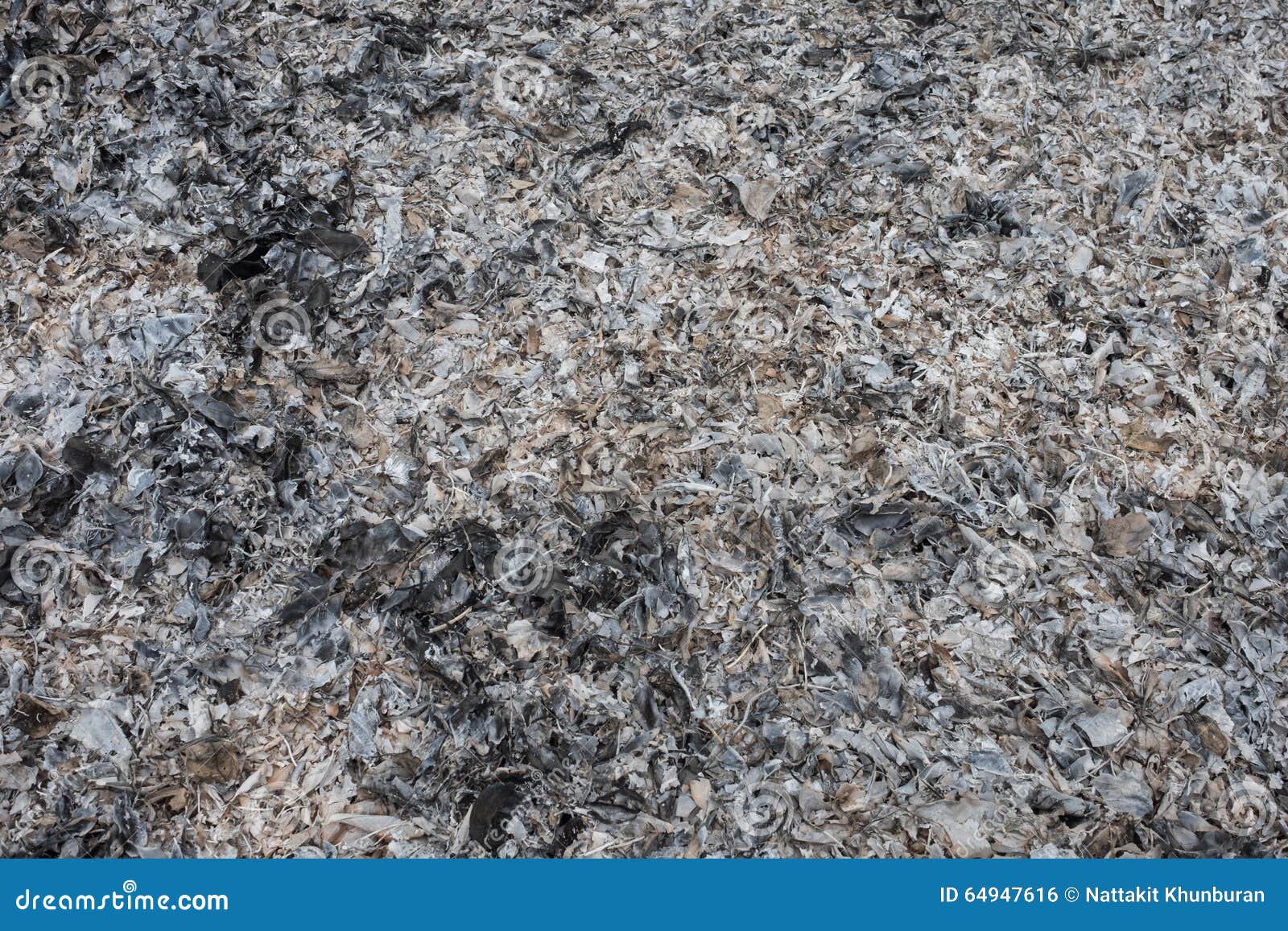 Ashes and Cinders from Wood and Waste Burning Stock Photo - Image of ...