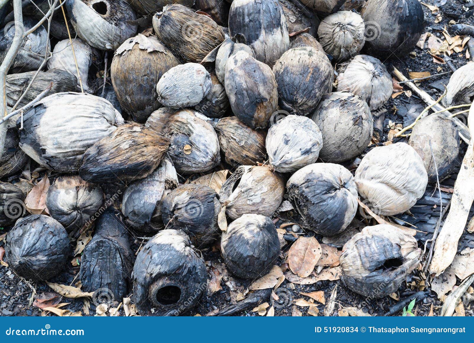 The Ashes of the Coconut that Was on Fire Stock Photo - Image of ...
