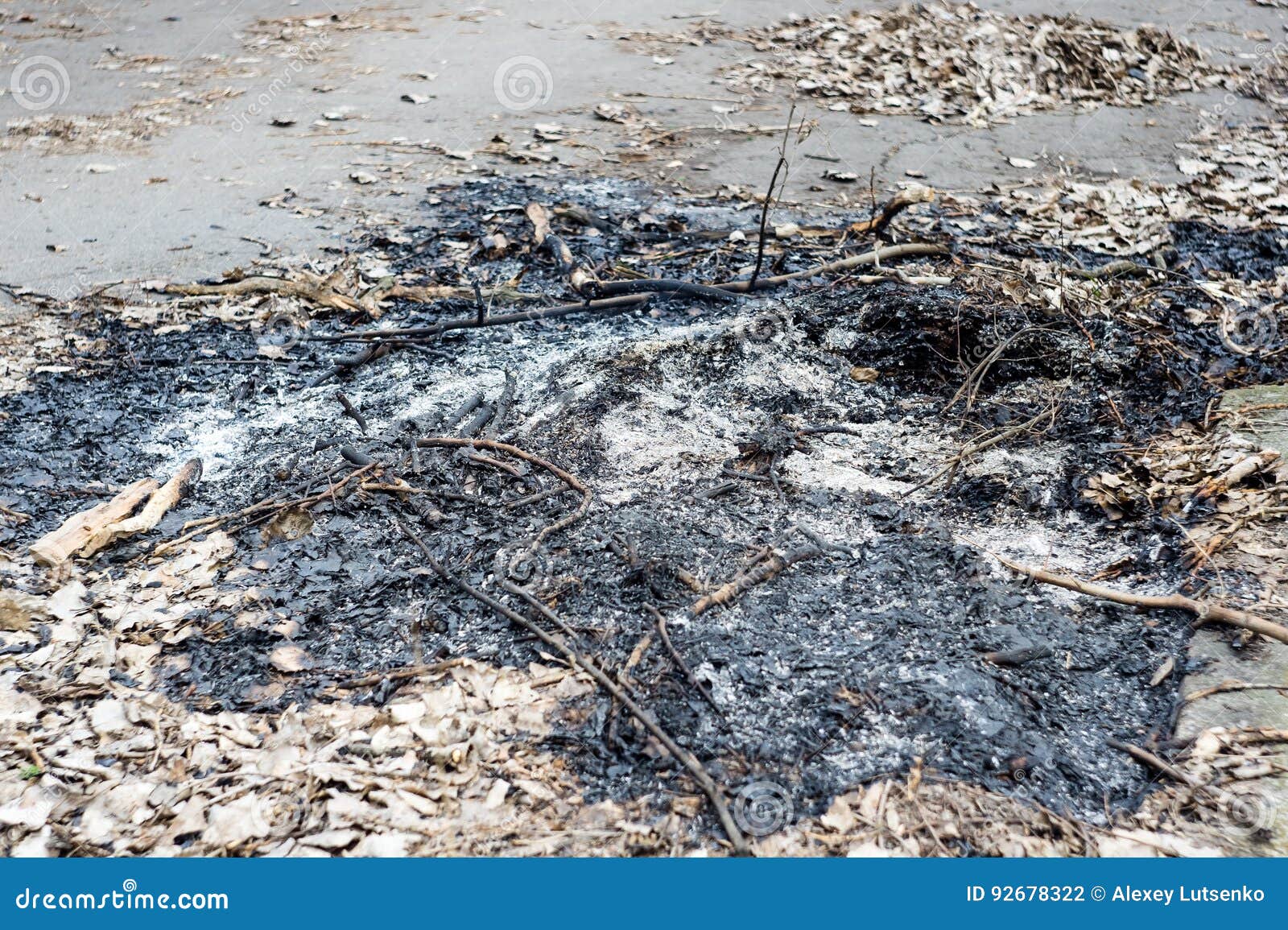 Ashes after a fire stock photo. Image of landscape, abstract - 92678322