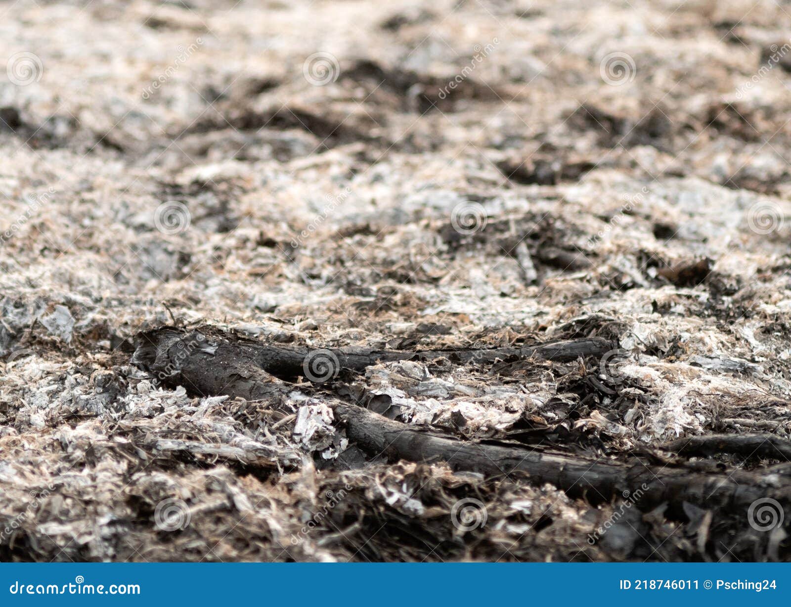 Ashes from the fire stock image. Image of background - 218746011