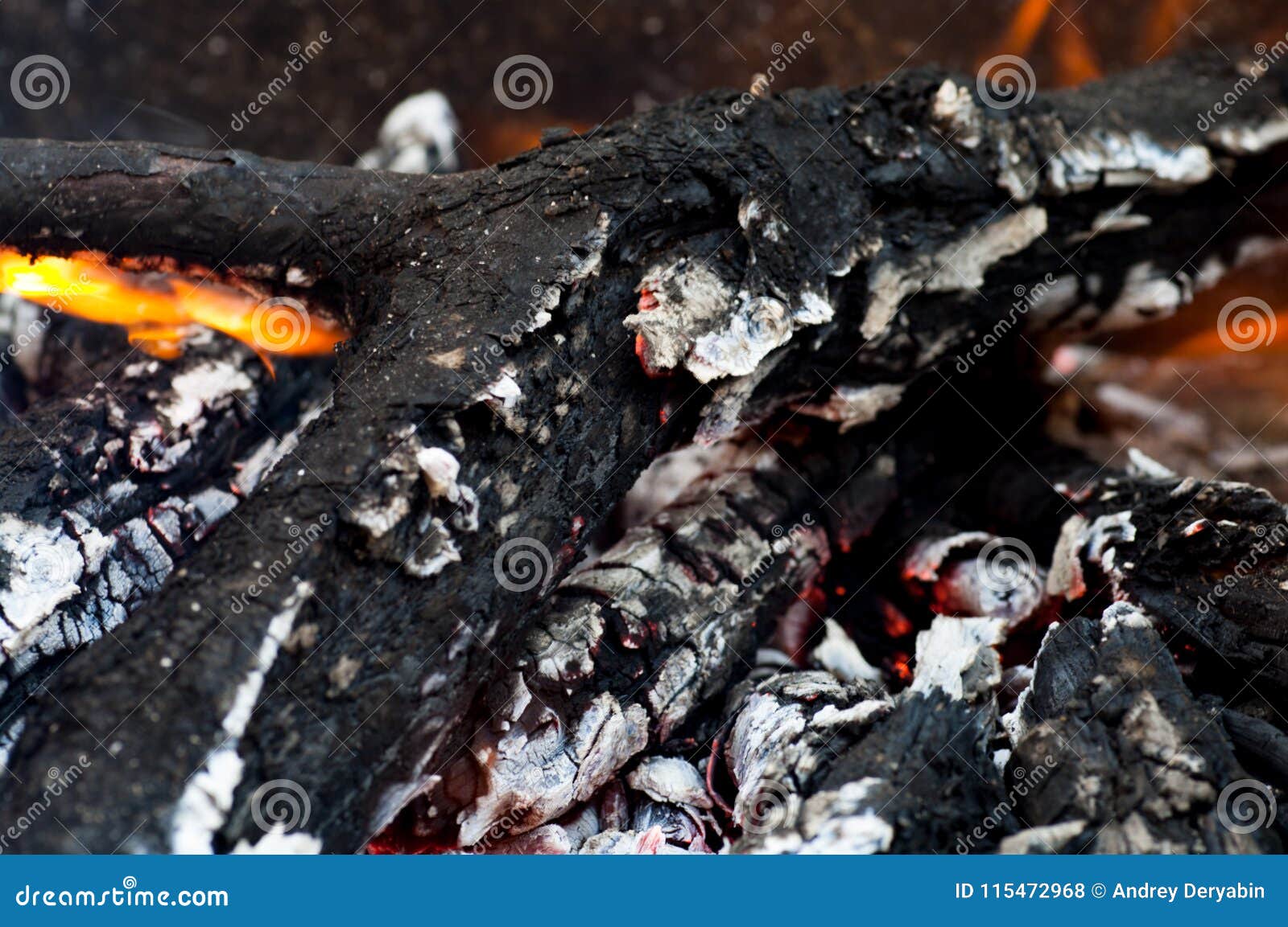 Ashes of a forest fire. stock photo. Image of blaze - 115472968
