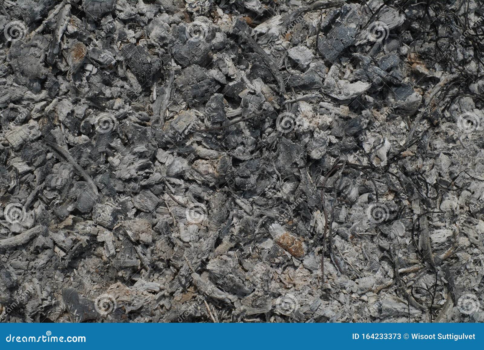 The Ashes of the Grass and the Burning Branches Ashes on the Field ...