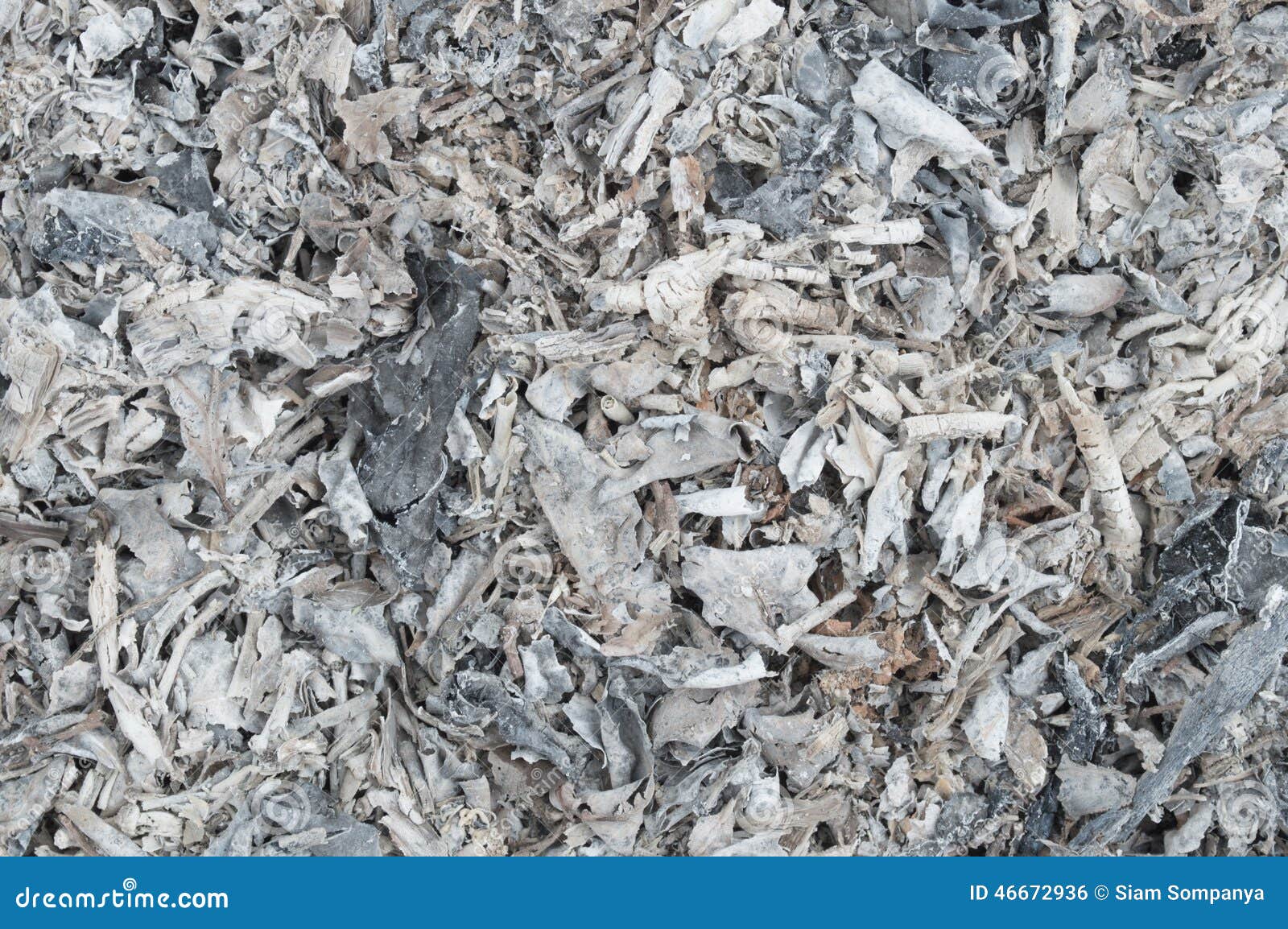 Ashes texture stock photo. Image of color, firewood, material - 46672936