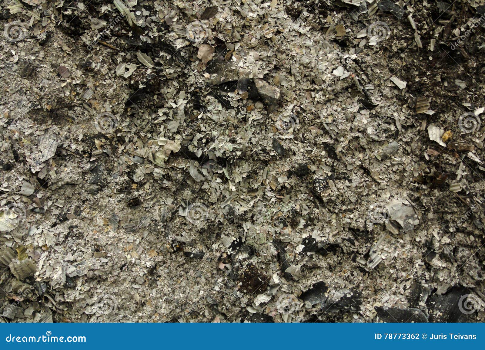 Ashes texture stock photo. Image of textured, dirty, outdoor - 78773362