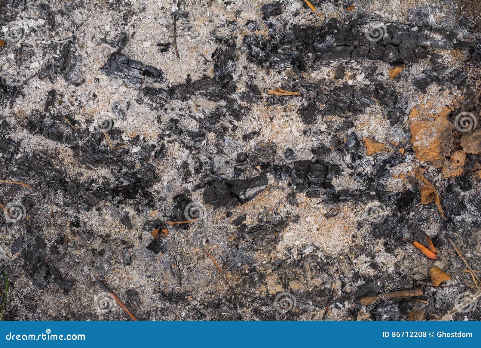 Ashes texture stock photo. Image of burnt, fire, ashes - 86712208