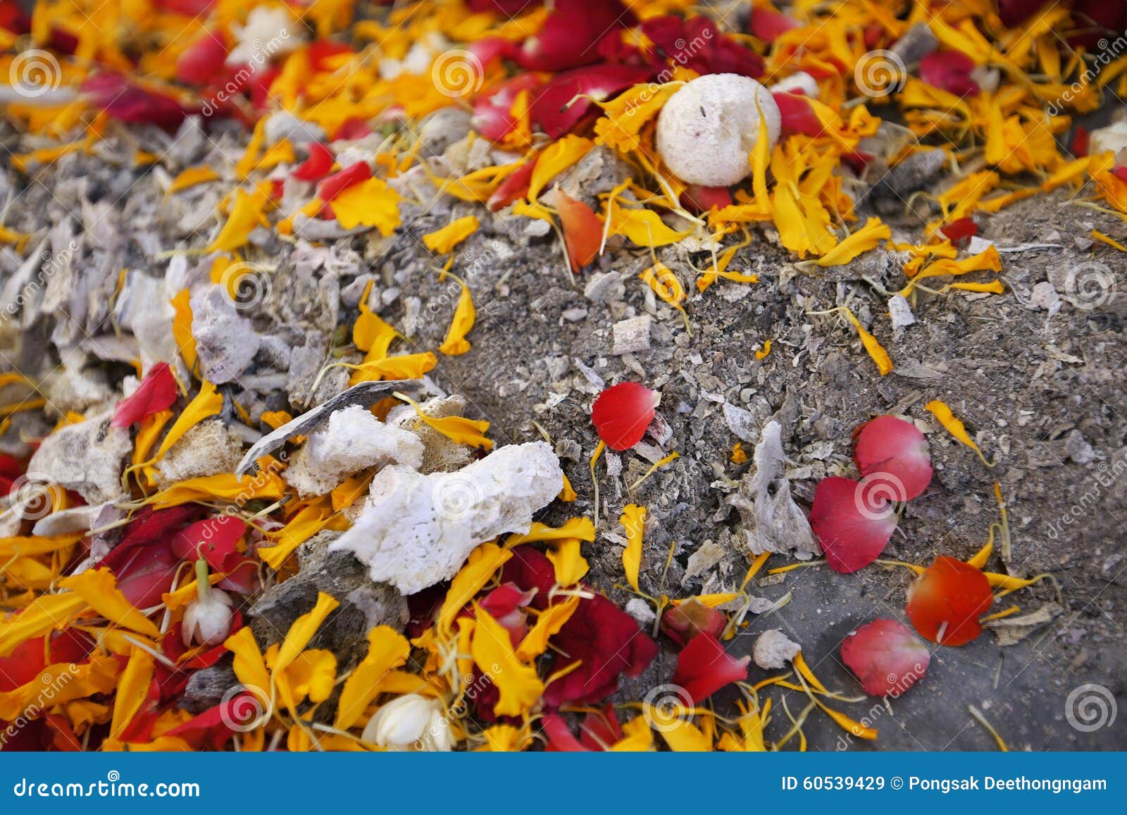 Ashes texture stock image. Image of light, future, background - 60539429
