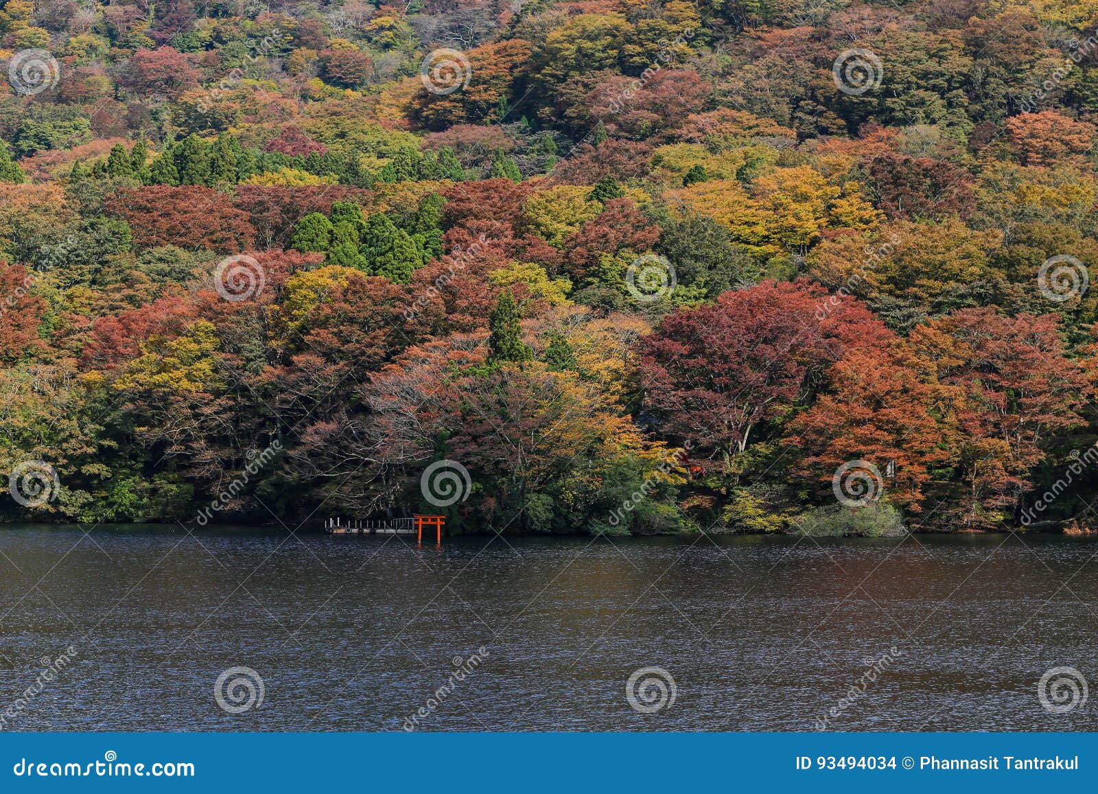 Ashi Lake,Japan stock photo. Image of boat, blue, foliage - 93494034