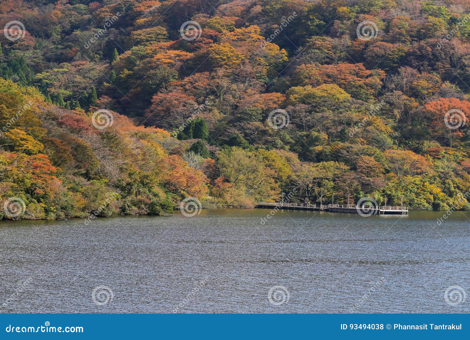 Ashi Lake,Japan stock photo. Image of green, tree, trees - 93494038