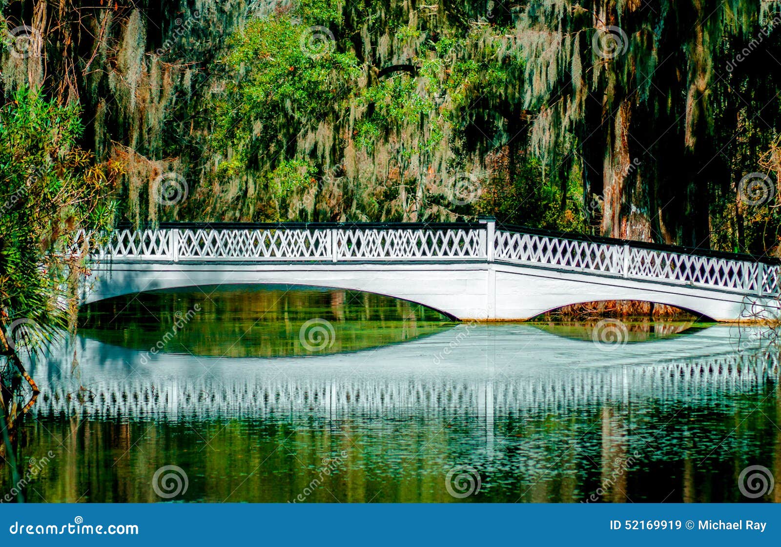 Ashley River Bridge imagen de archivo. Imagen de planta - 52169919