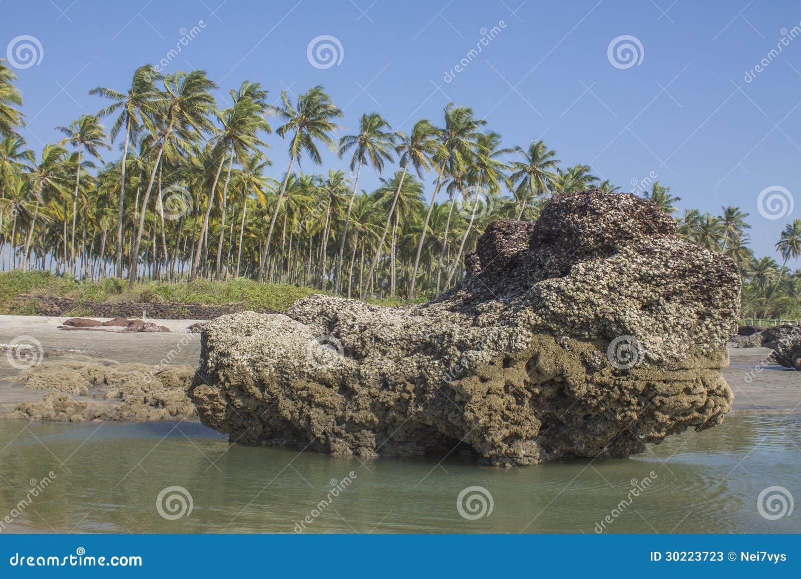 Ashvem beach Goa stock image. Image of white, rocks, india - 30223723