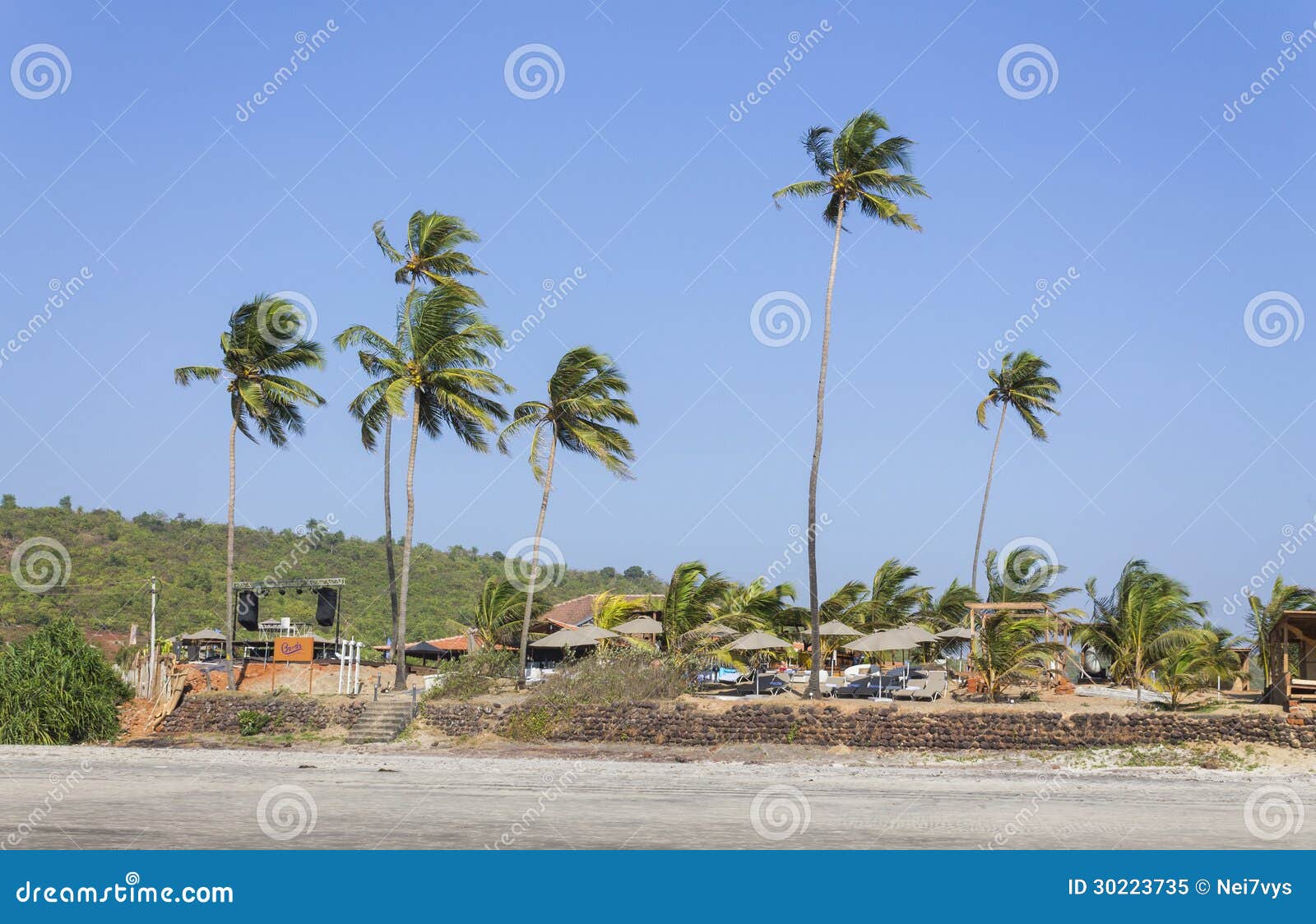 Ashvem beach in Goa stock image. Image of arabian, ashvem - 30223735