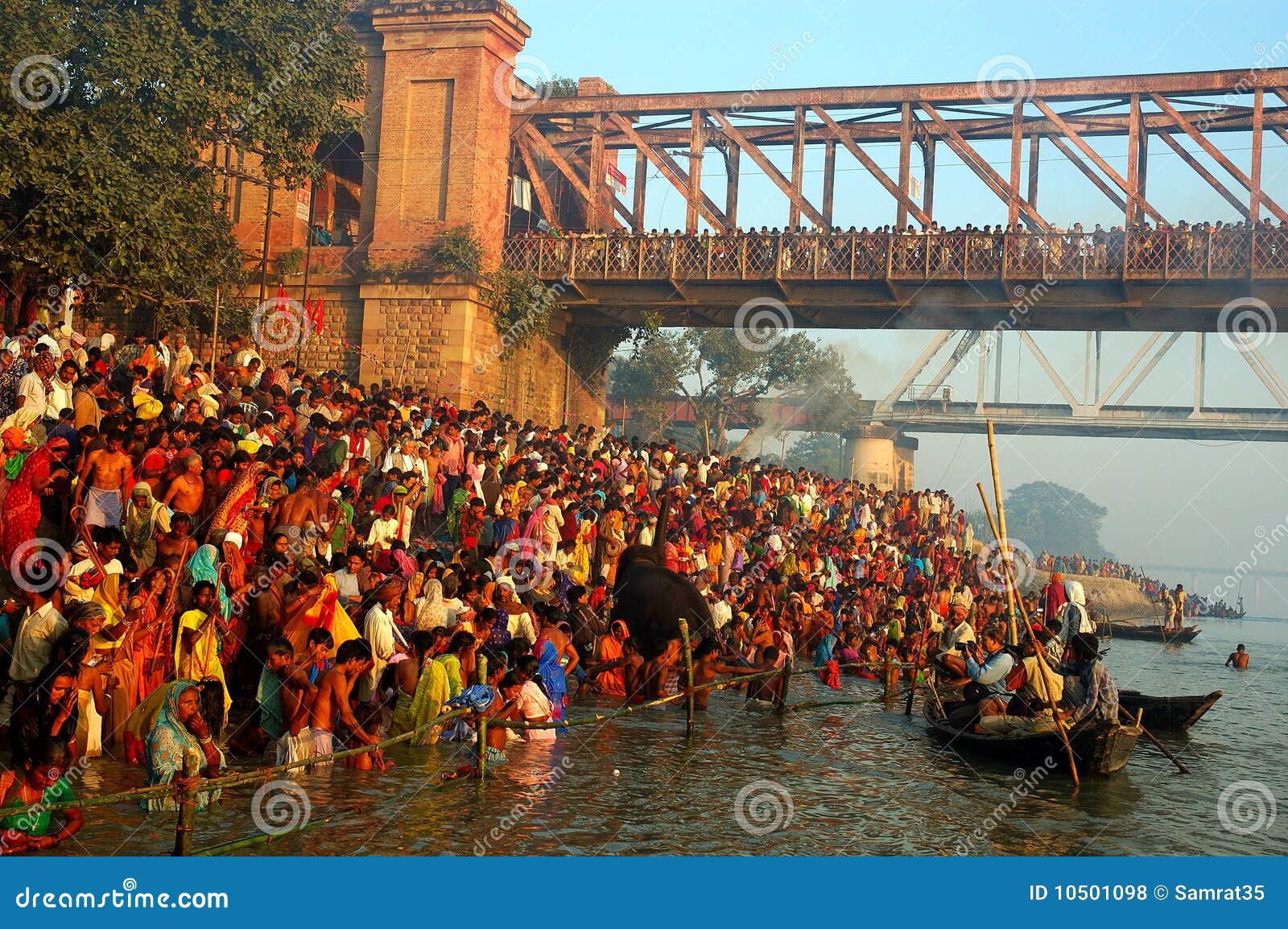 Asiaâ€™s Biggest Cattle Fair. Editorial Stock Photo - Image of rural ...