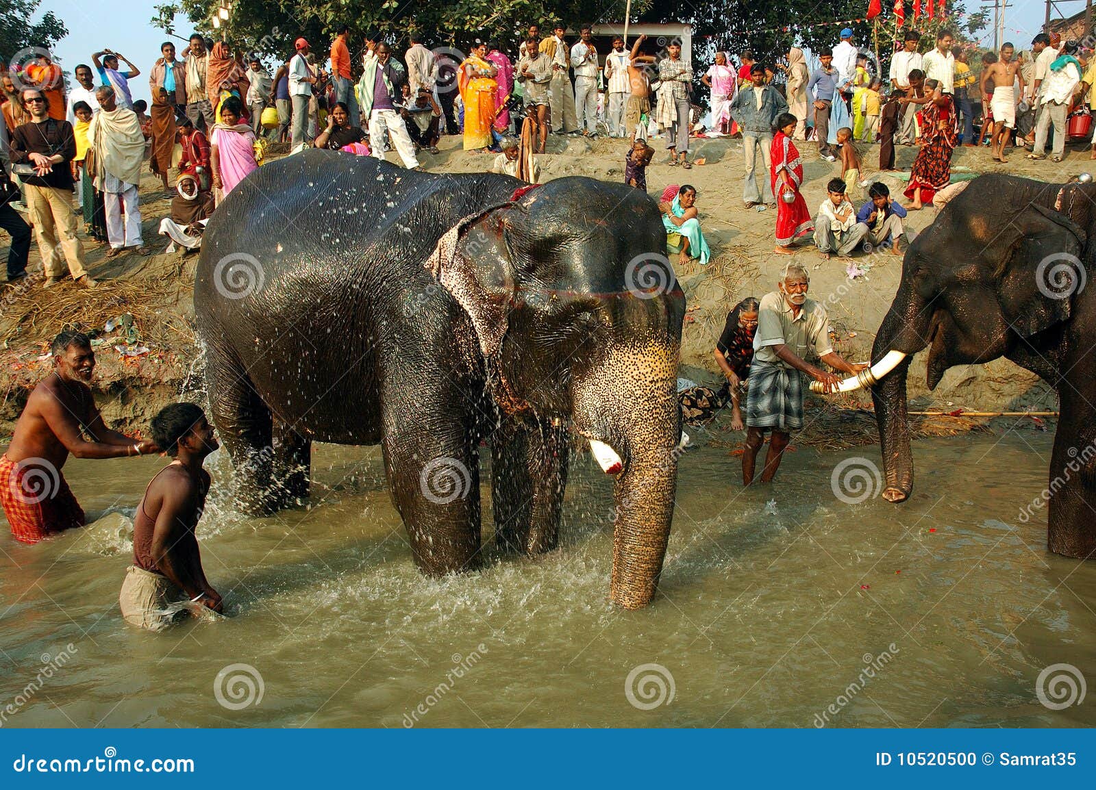 Asiaâ€™s Biggest Cattle Fair. Editorial Image - Image of scene, group ...