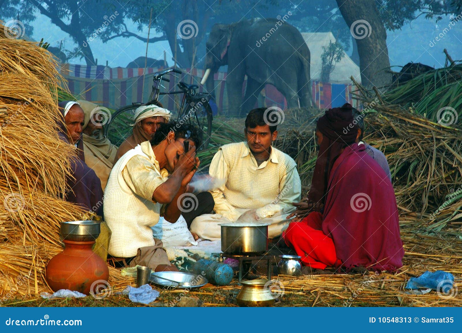 Asiaâ€™s Biggest Cattle Fair. Editorial Stock Photo - Image of mela ...