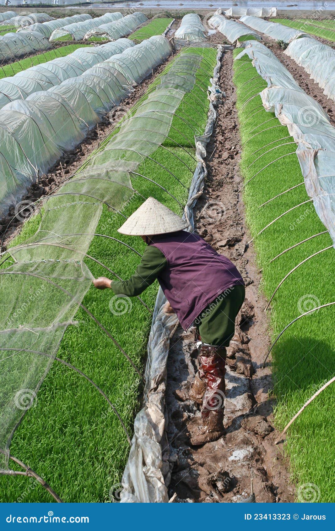 Asia farmer editorial stock photo. Image of pick, conical - 23413323