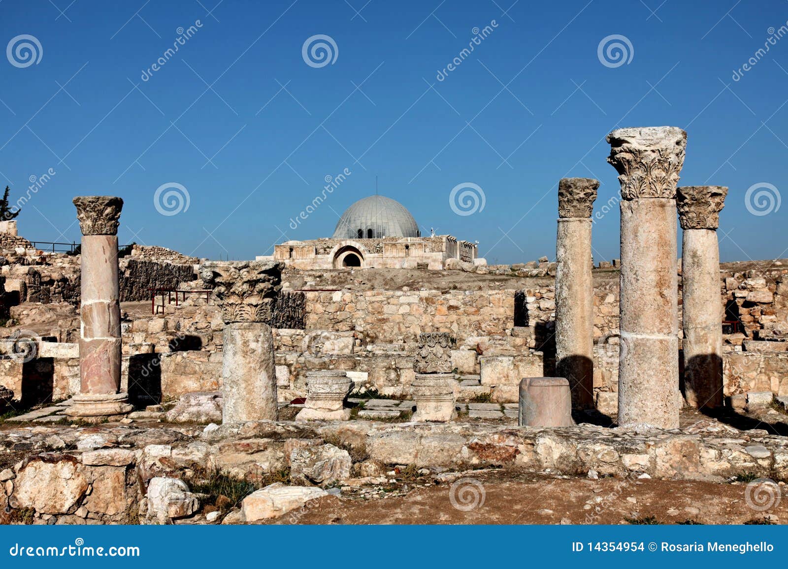 Jordan Amman Tree Stock Photo | CartoonDealer.com #179541120