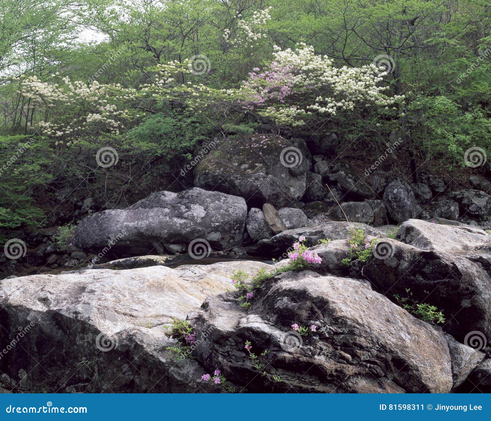 Asia stock image. Image of korea, valley, dome, strata - 81598311