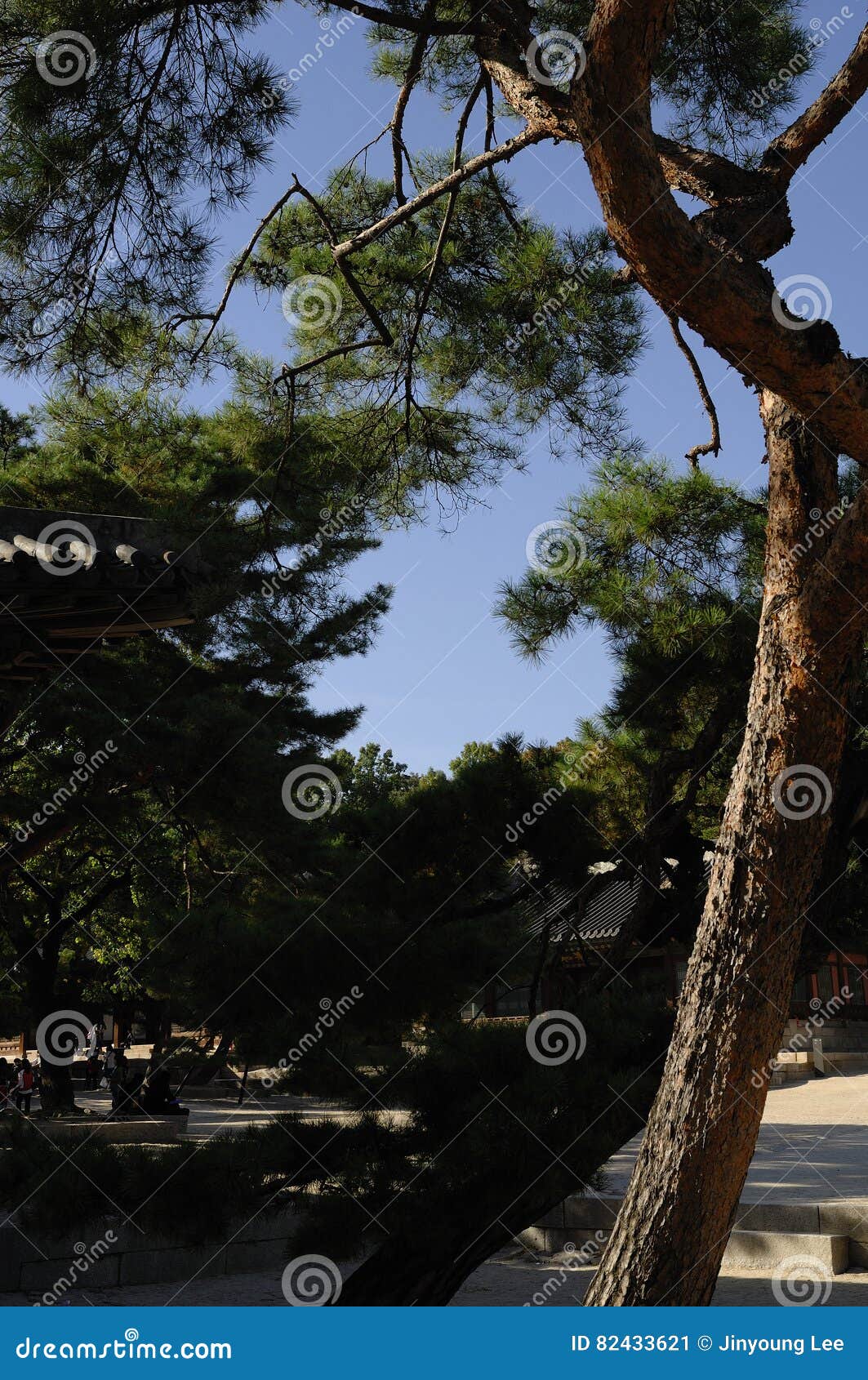 Asia stock image. Image of travel, south, sultans, tree - 82433621
