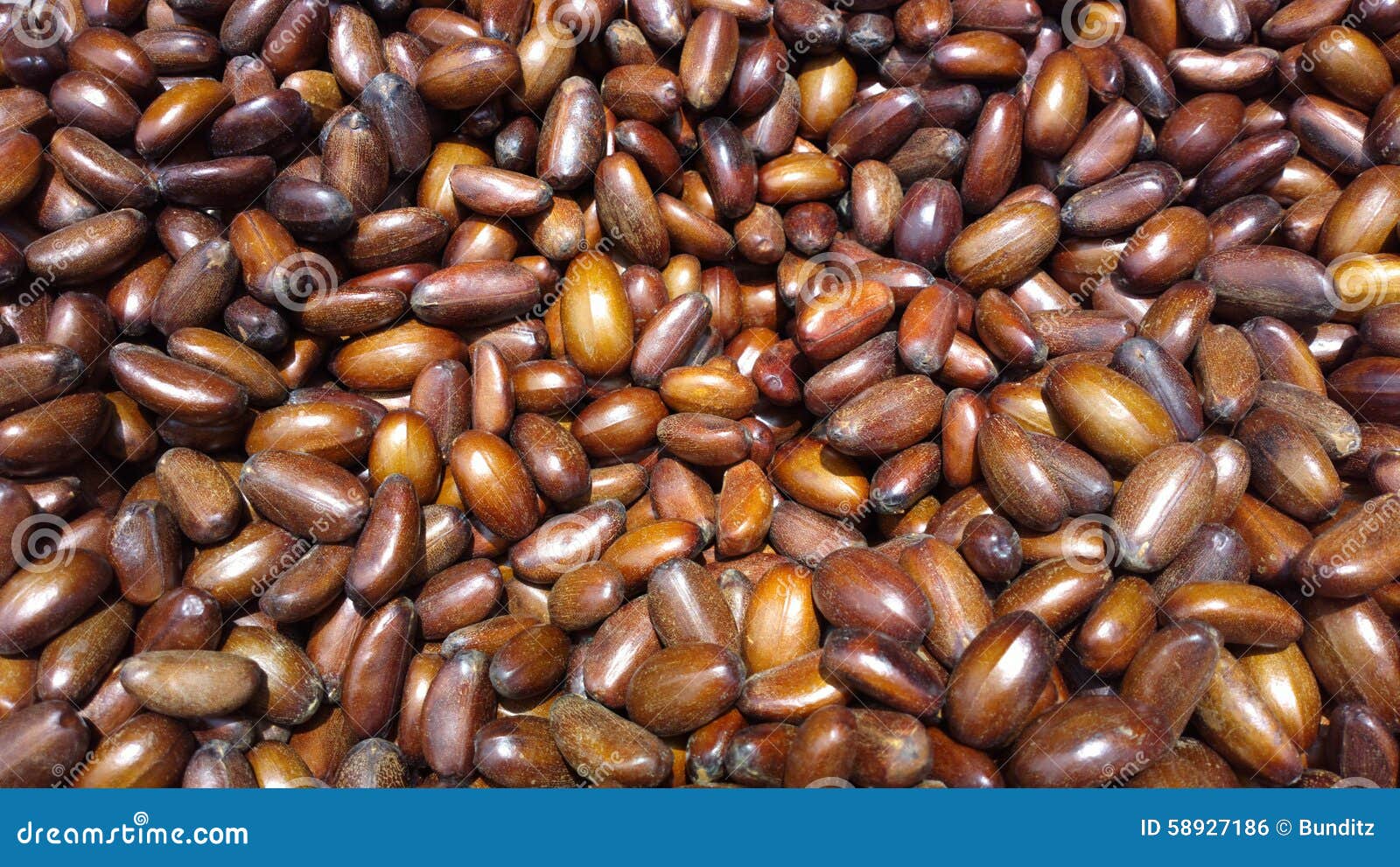 Asia nut stock photo. Image of bean, asia, thailand, wallpaper - 58927186