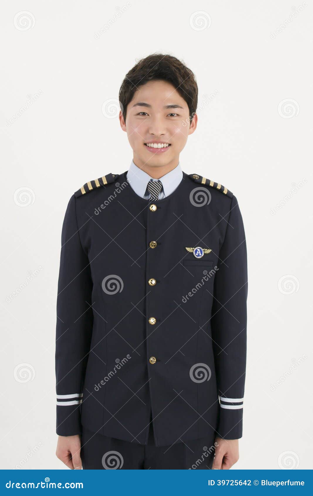 Asian airline pilot stock photo. Image of business, adult - 39725642