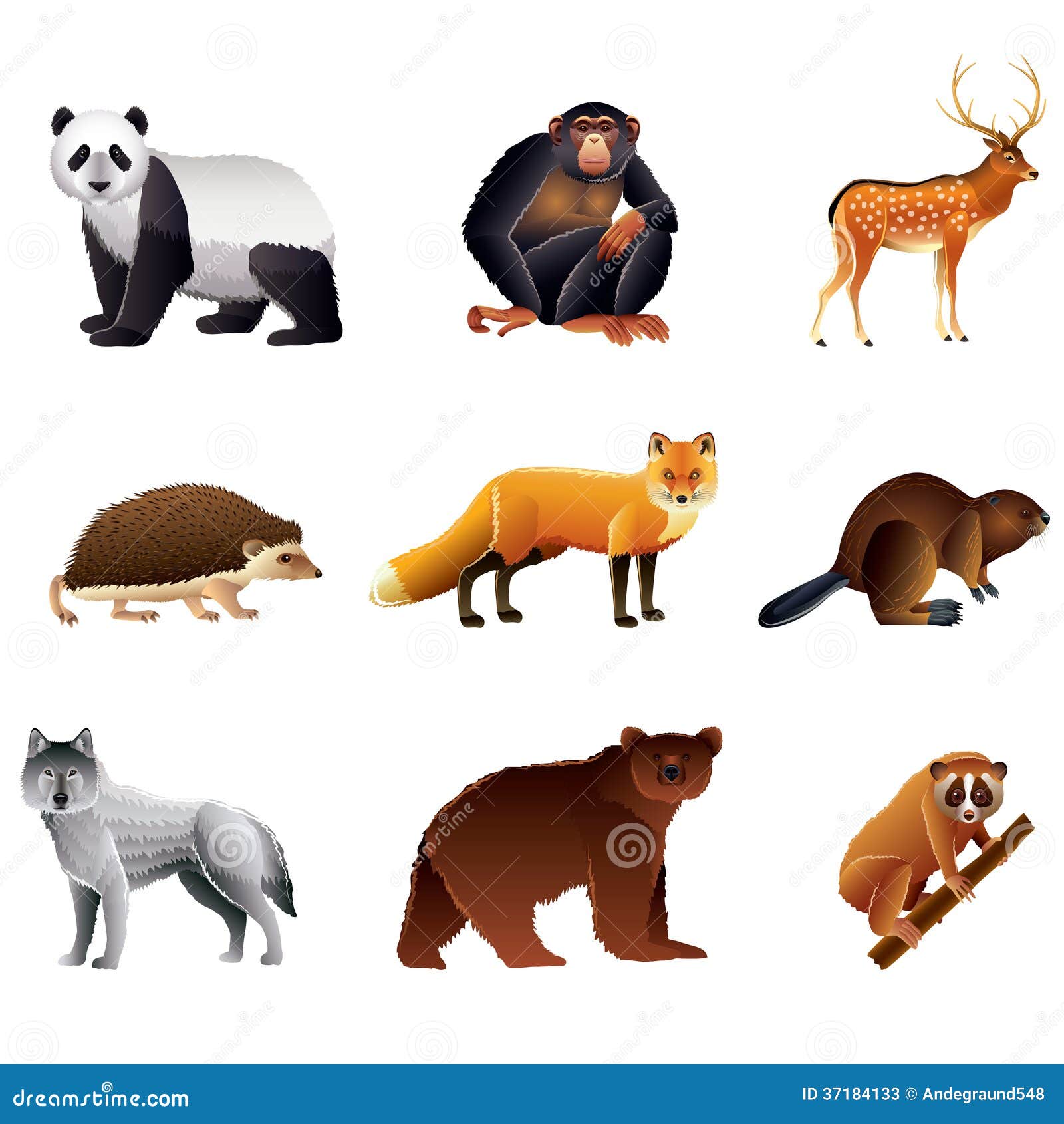 Asian animals vector set stock vector. Illustration of panda - 37184133
