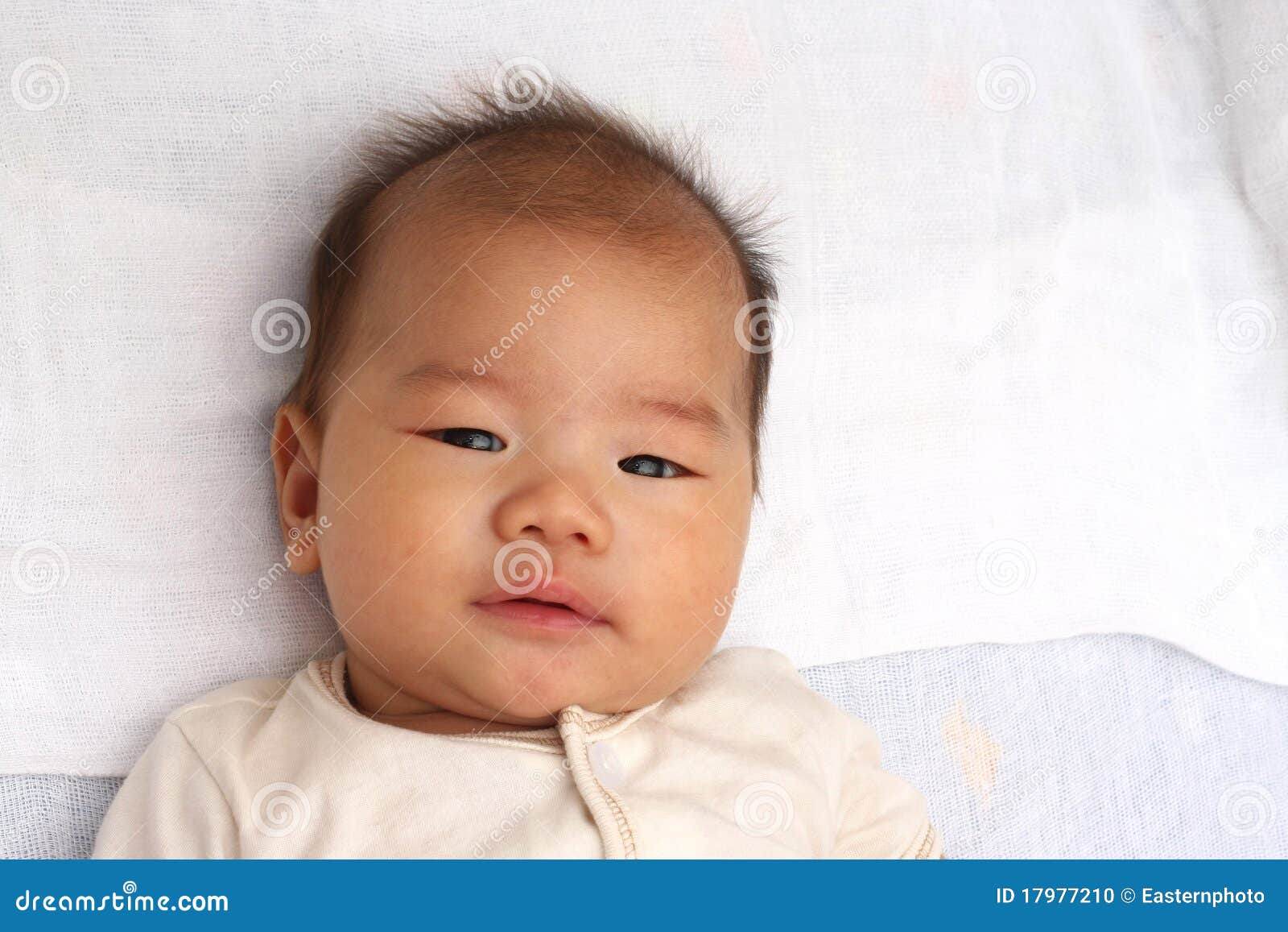 Asian baby stock photo. Image of baby, child, chinese - 17977210