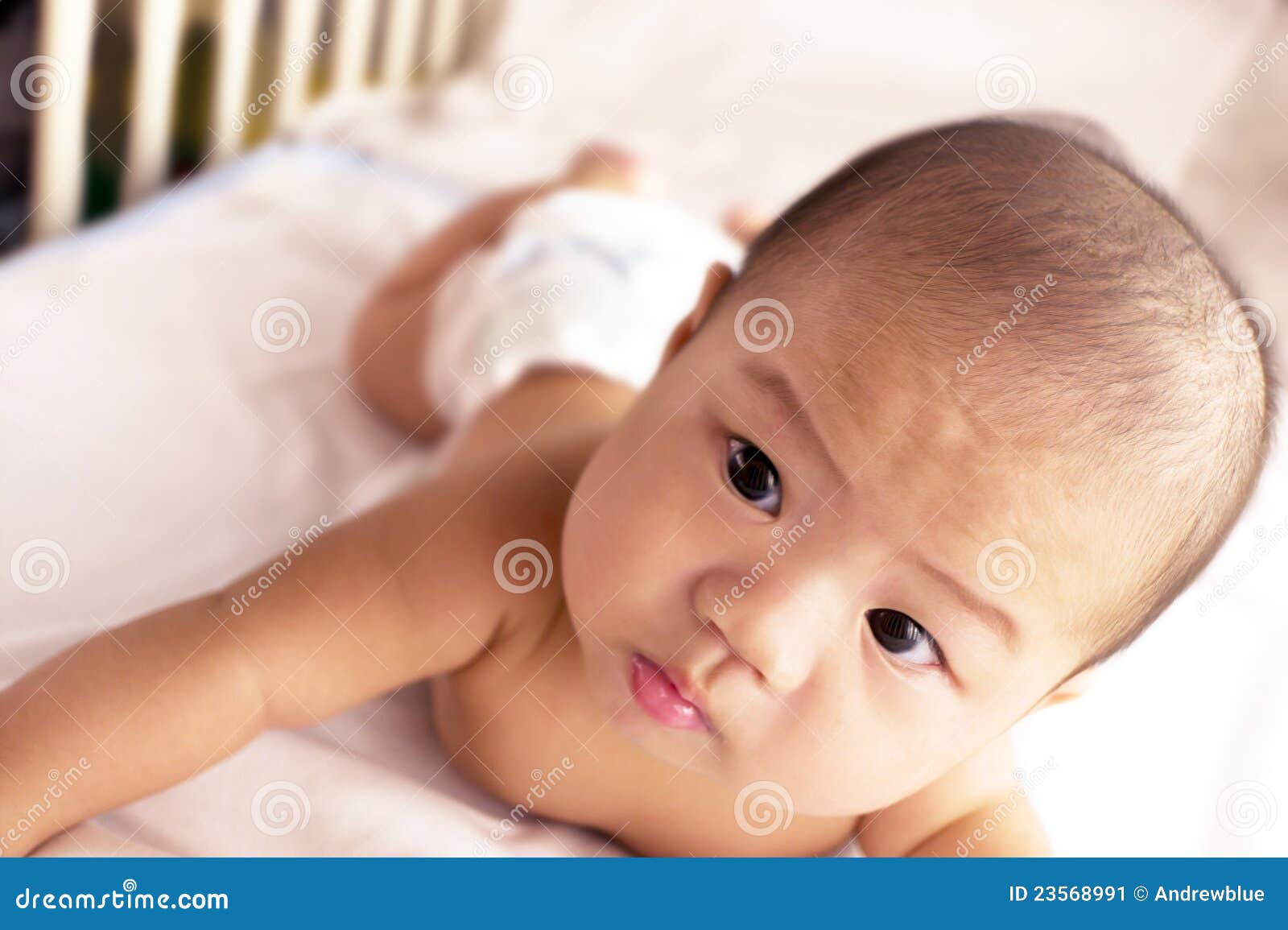 Asian Baby stock image. Image of beauty, child, healthy - 23568991