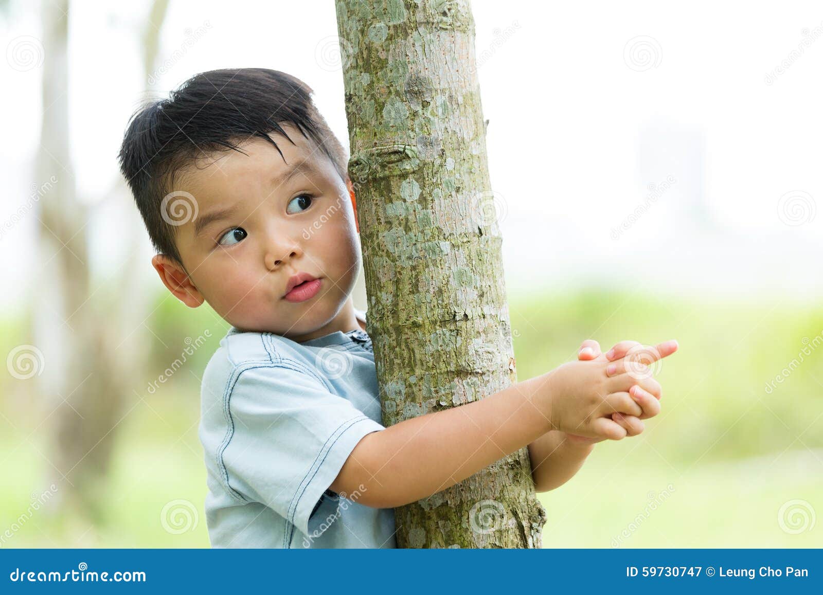 Asian Baby Boy Climb Up Tree Stock Image - Image of leisure, look: 59730747