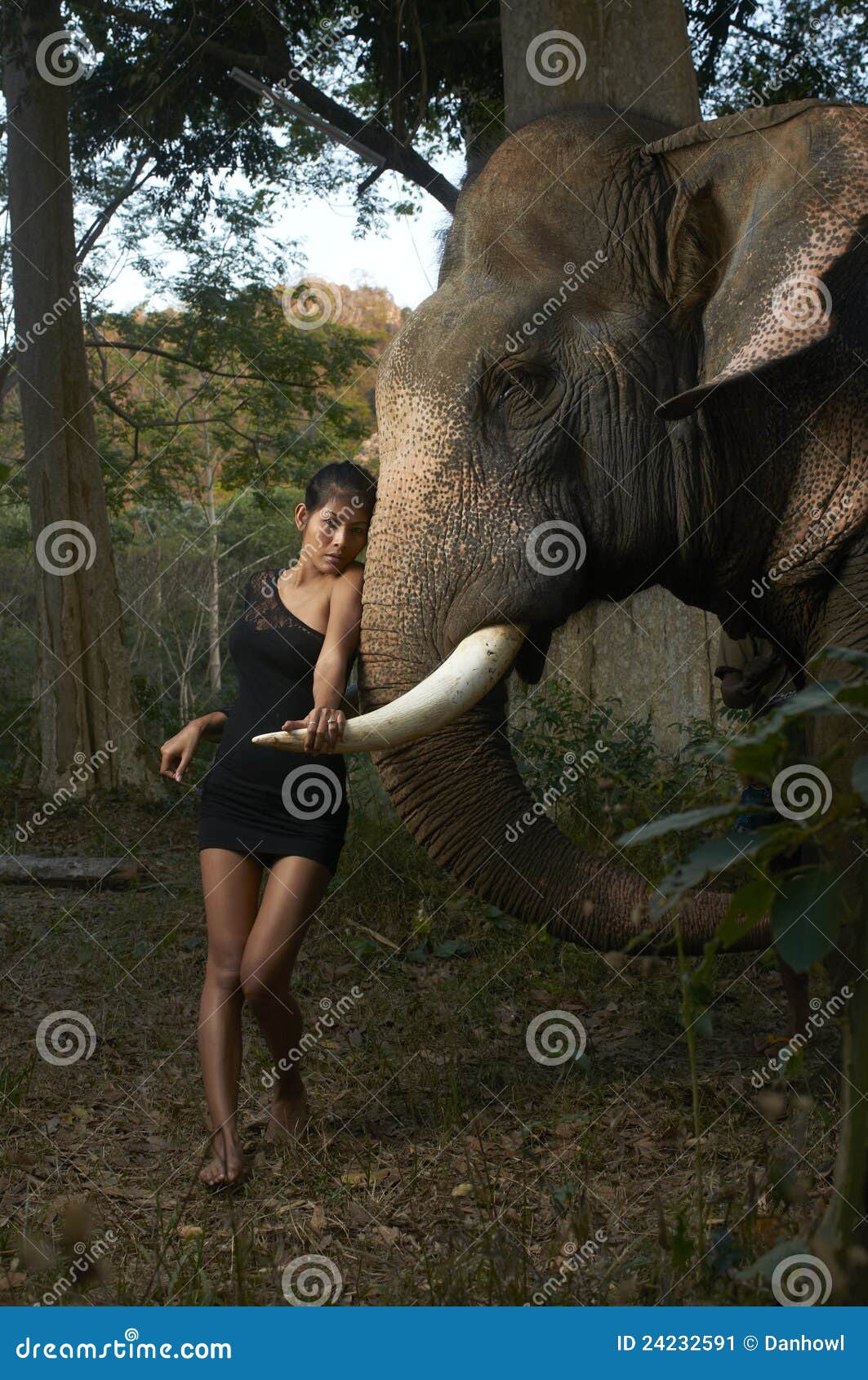 Asian Beauty with Friendly Elephant Stock Image - Image of thailand ...