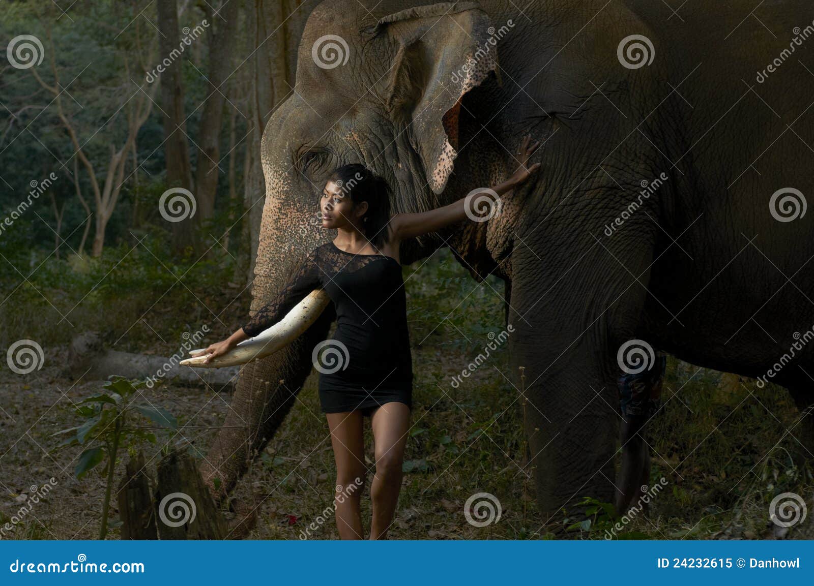 Asian Beauty with Friendly Elephant Stock Image - Image of profile ...