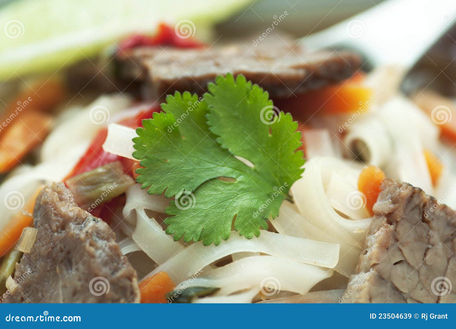 Asian Beef Soup stock image. Image of lunch, bowl, spoon - 23504639