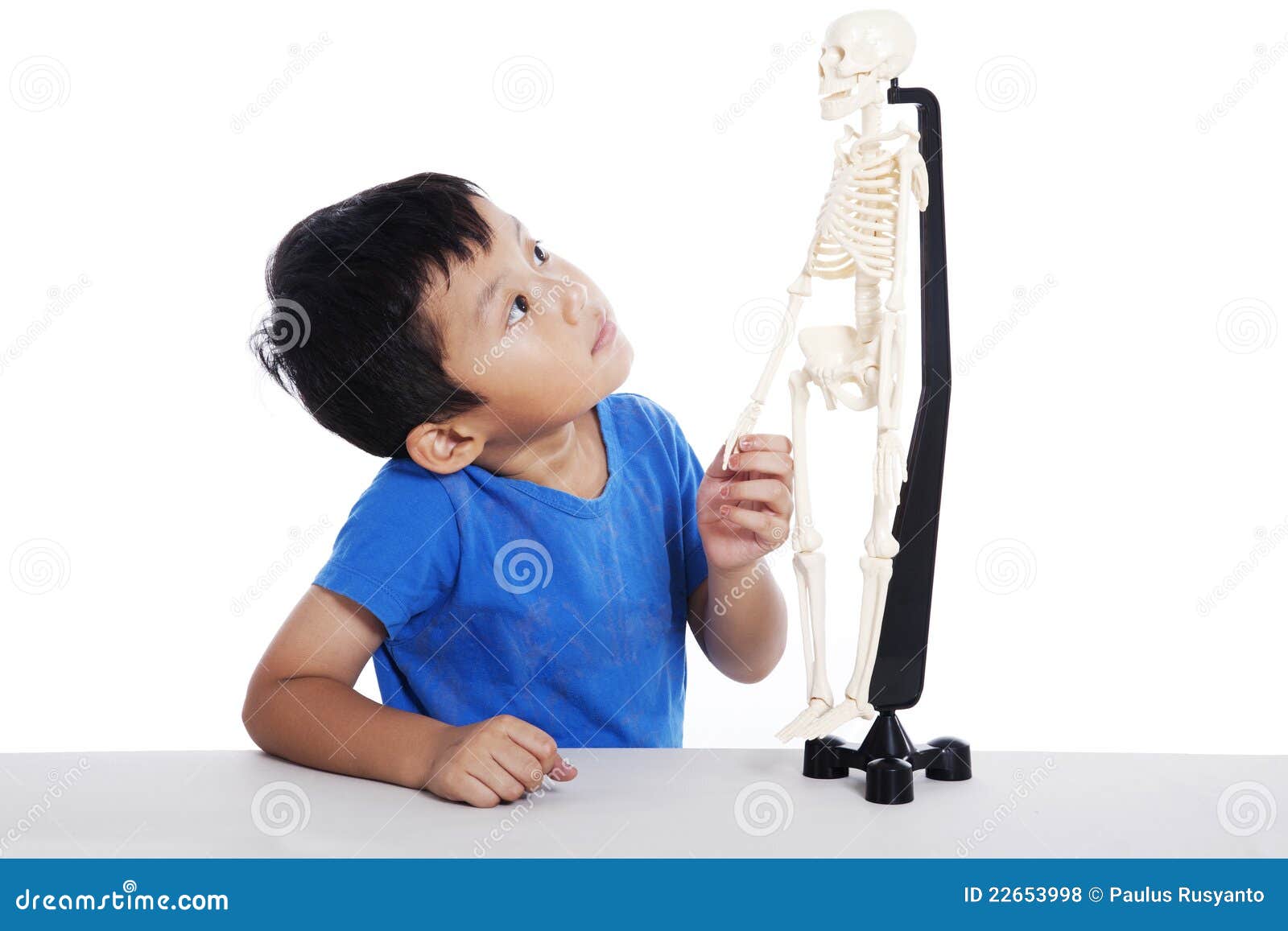 Asian Boy with Human Skeleton Stock Photo - Image of malaysian, bones ...