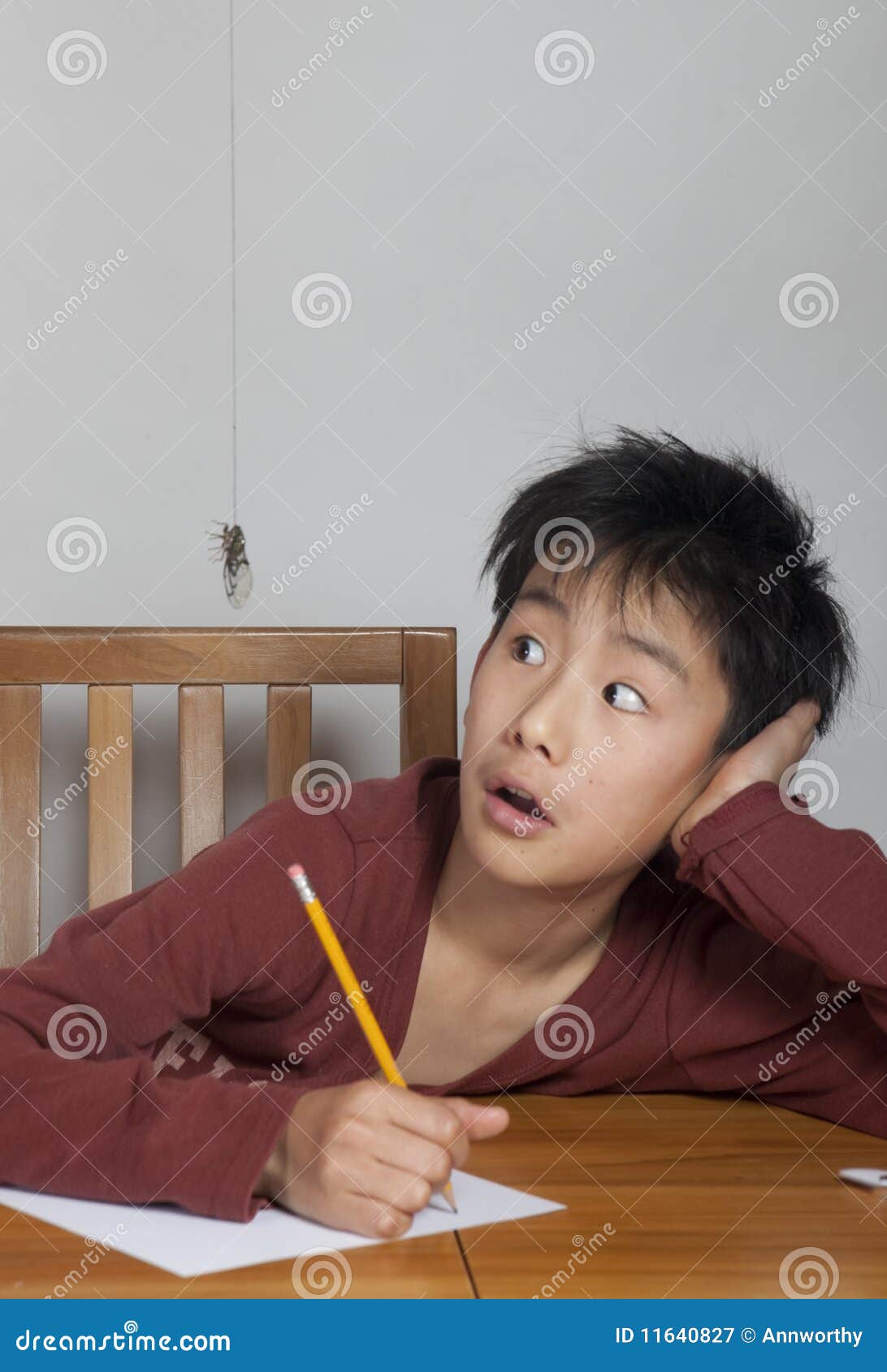 9,301 Asian Bug Stock Photos - Free & Royalty-Free Stock Photos from ...