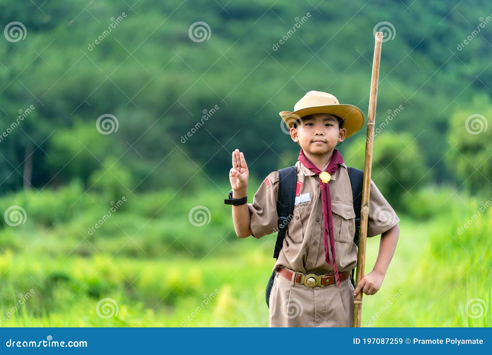 Asian Boy Scout Honor Hand Gesture Stock Image - Image of allergy, male ...