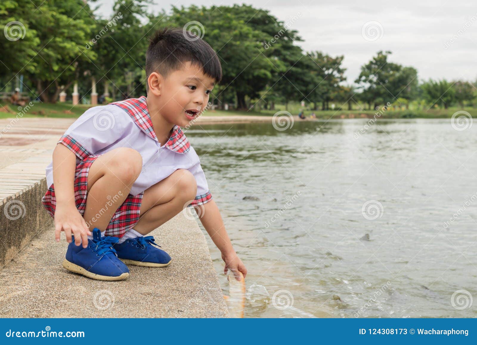 Boy Feeding the Fish with Bread Stock Image - Image of feed, carp ...