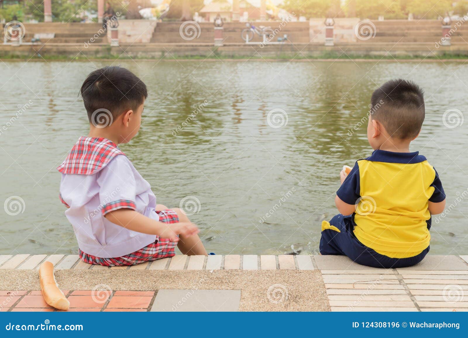 Boy Feeding the Fish with Bread Stock Photo - Image of holding, little ...