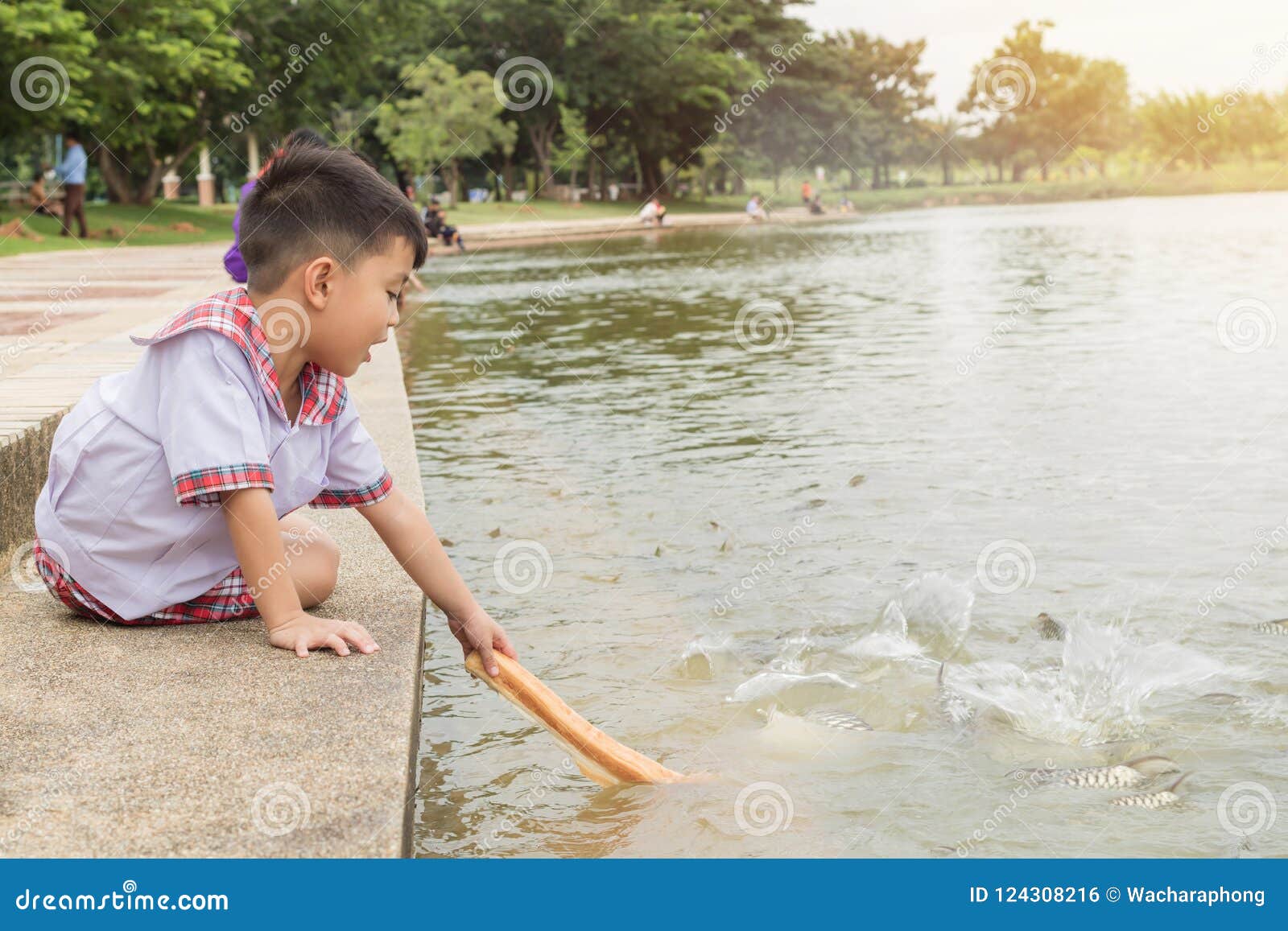 Boy Feeding the Fish with Bread Stock Photo - Image of park, leisure ...