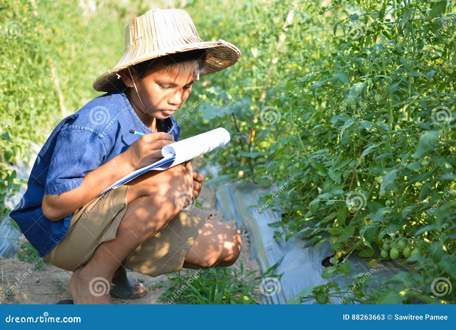 Asian boy stock image. Image of lifestyle, natural, growth - 88263663