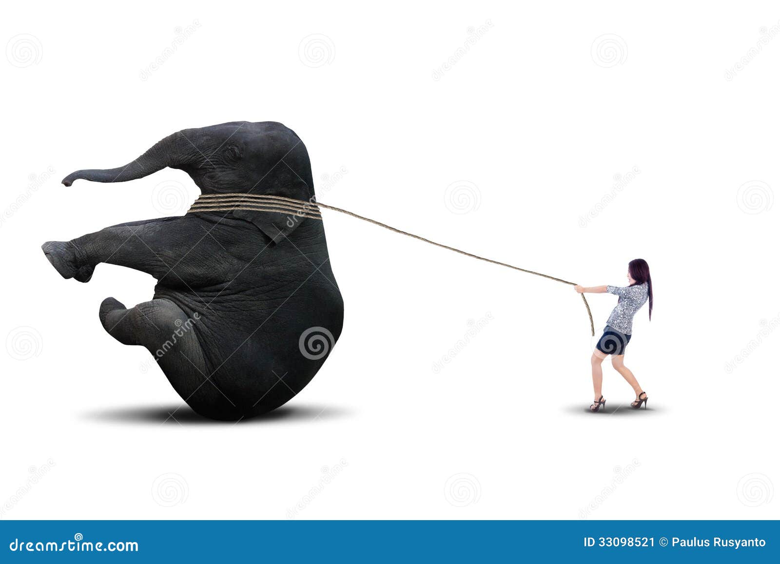 Elephant Leader Stock Photo | CartoonDealer.com #9254460