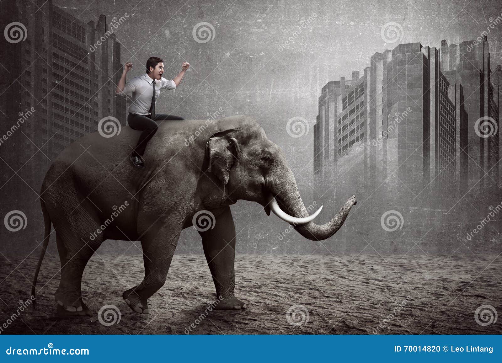 Asian Business Man Riding Elephant Stock Photo - Image of challenge ...