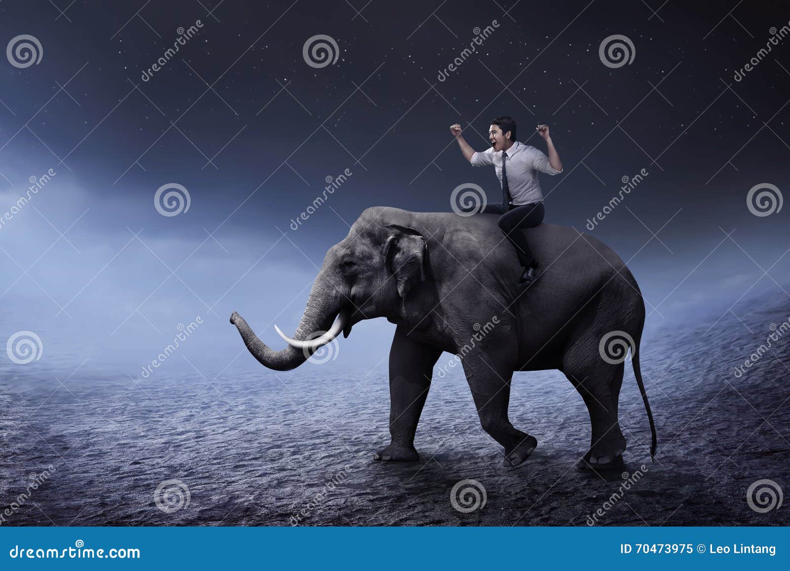 Asian Business Man Riding Elephant Stock Image - Image of desert, lead ...