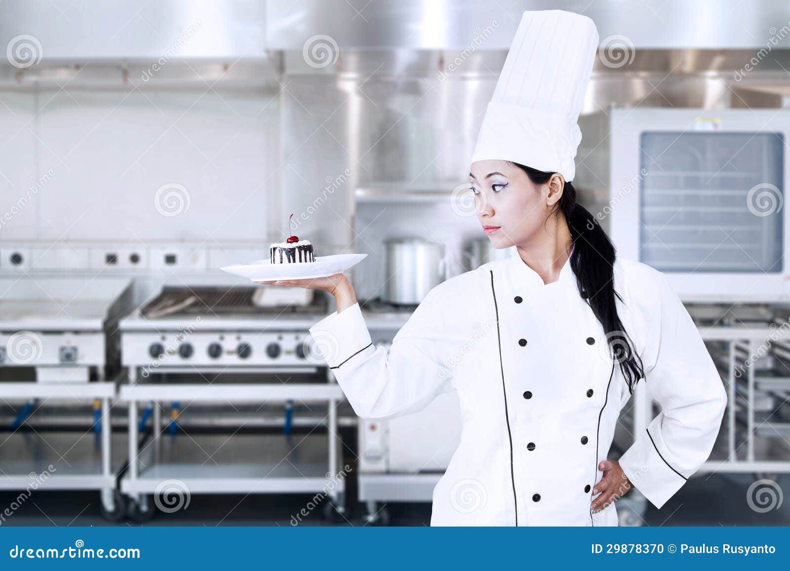 Elegant chef stock photo. Image of cooking, chefs, dessert - 29878370