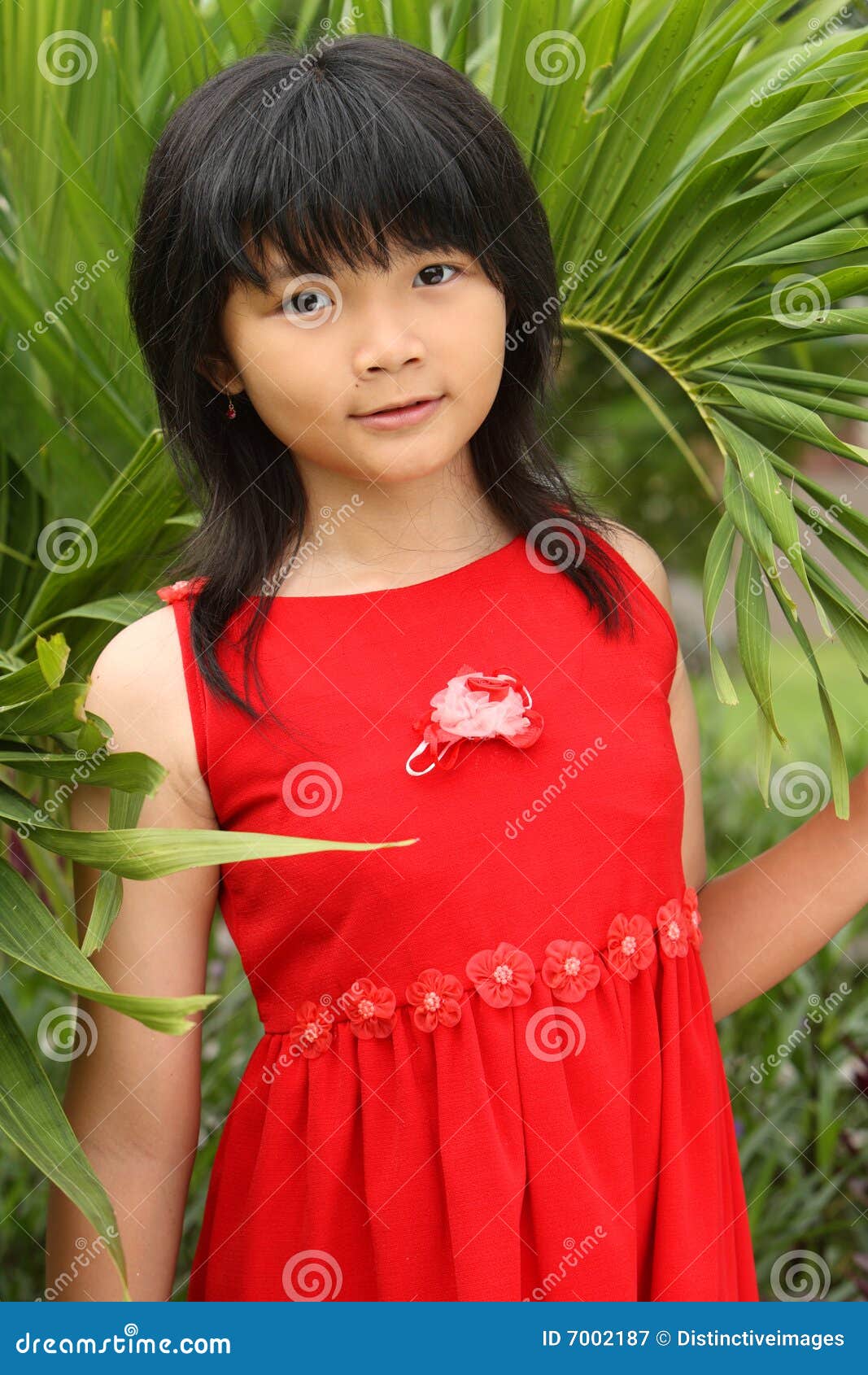 Asian Child stock image. Image of little, girl, asian - 7002187