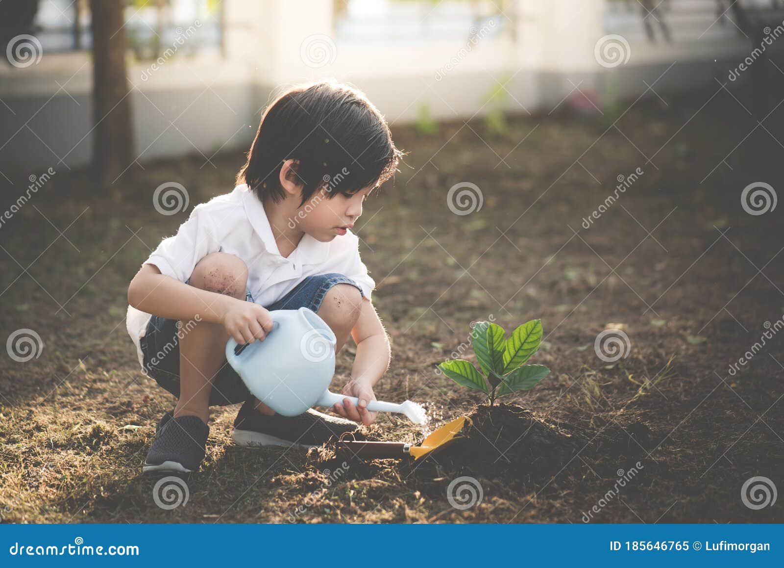 Asian Child Watering Young Tree Stock Image - Image of japanese, life ...