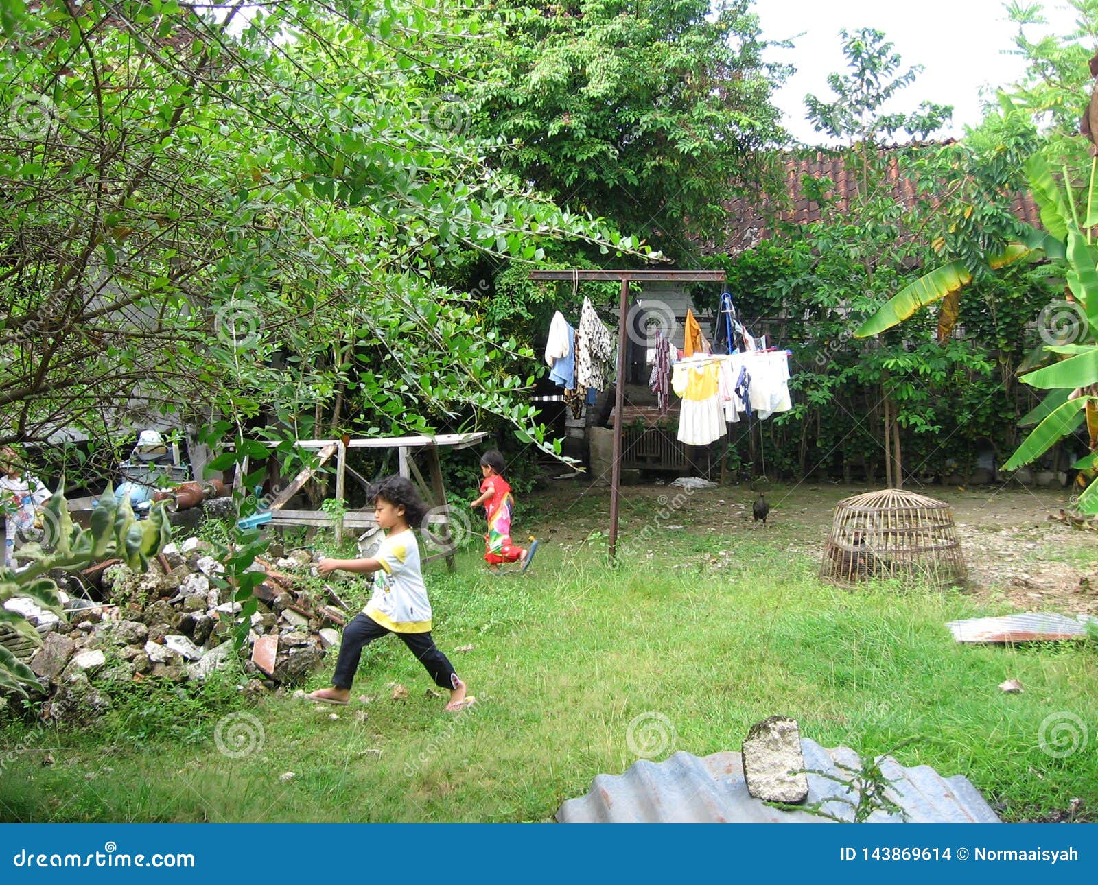 Asian Children Plays Hide and Seek on Backyard Editorial Stock Image ...