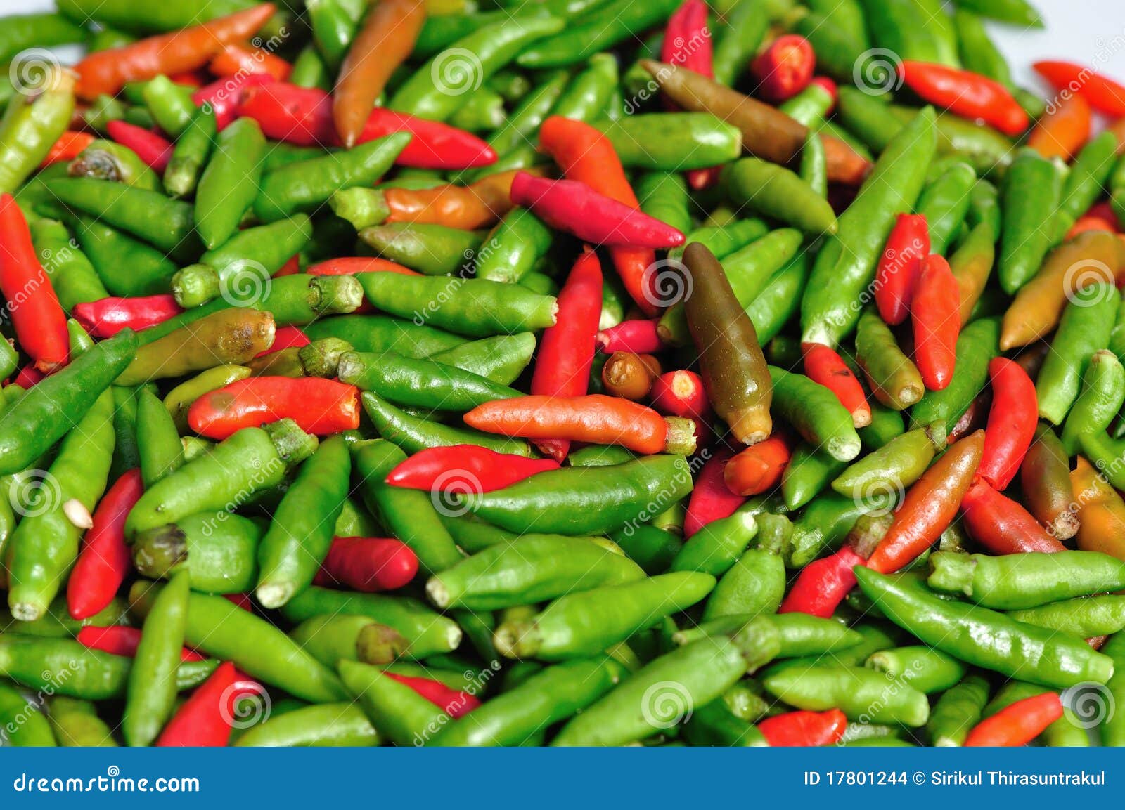 Asian Chilli stock photo. Image of agriculture, fiery - 17801244