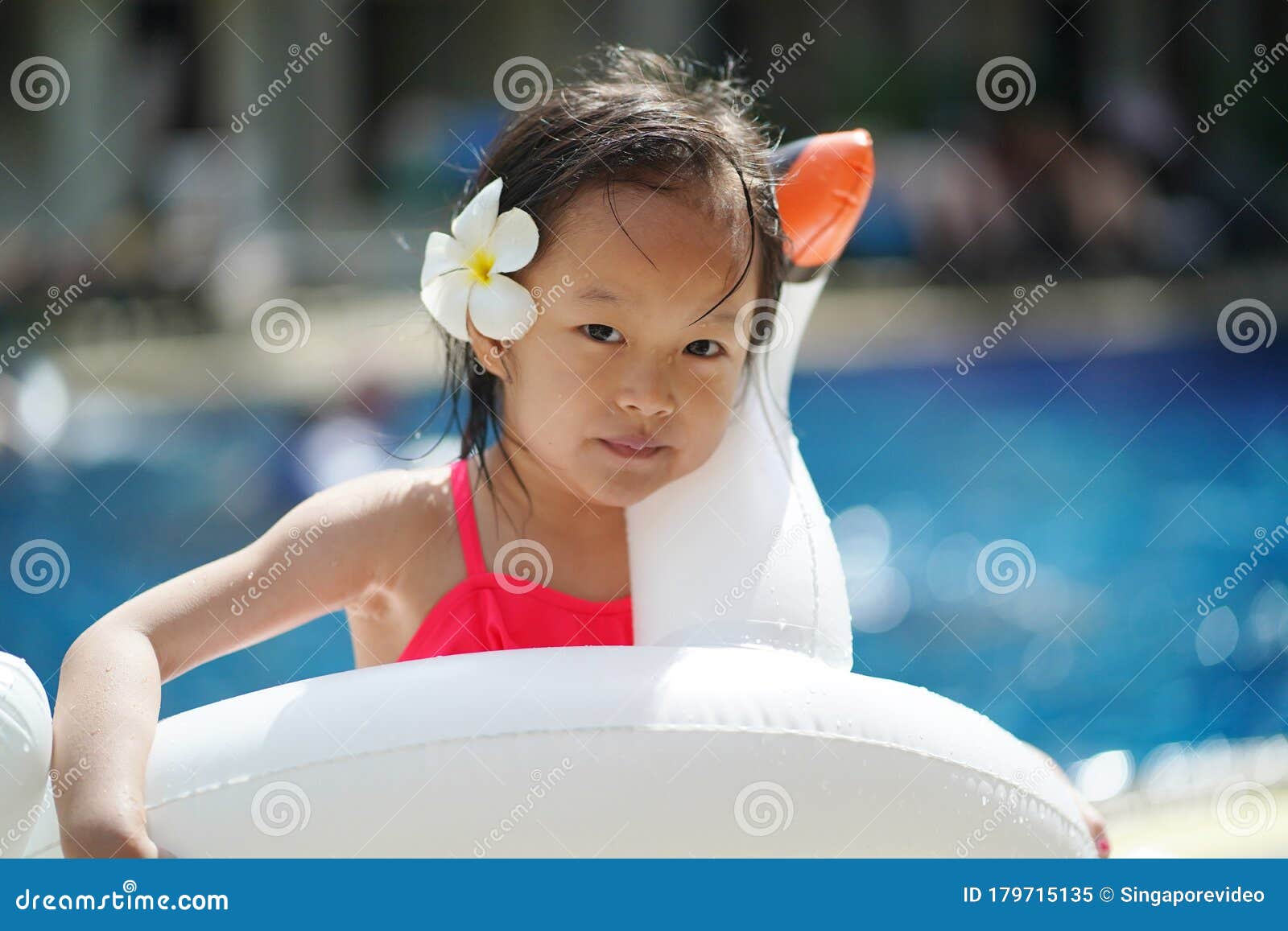 Float In Swimming Pool. Stock Photo | CartoonDealer.com #3187284